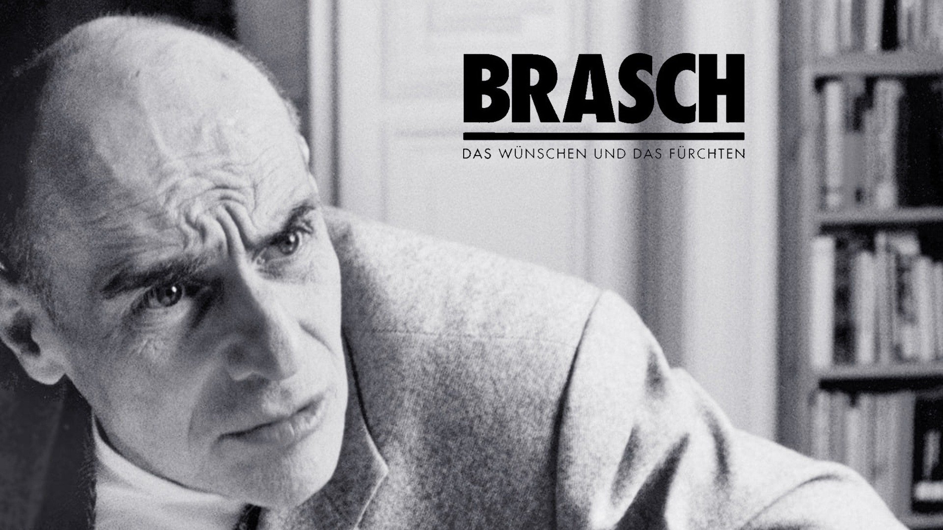 Brasch - Das Wünschen und das Fürchten (2011) - Plex