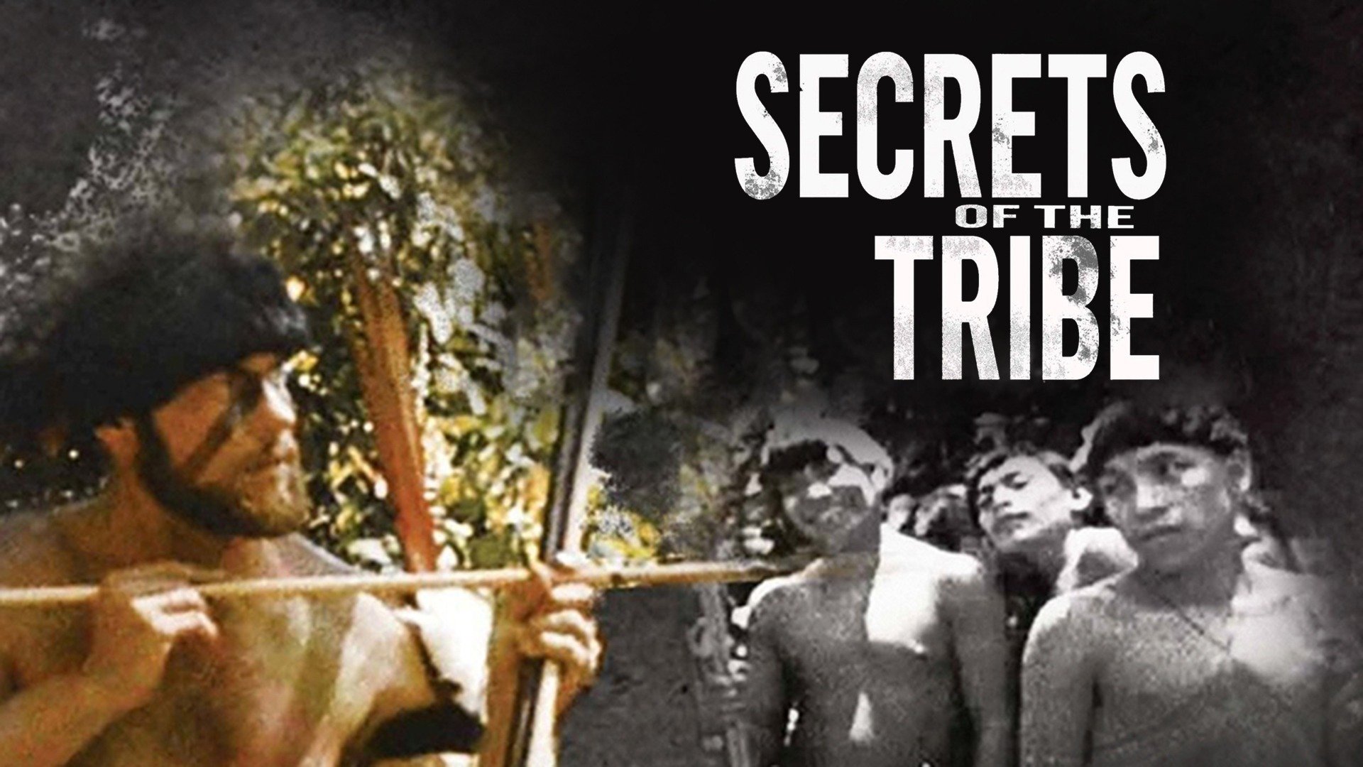 Watch Secrets of the Tribe (2010) Full Movie Free Online - Plex