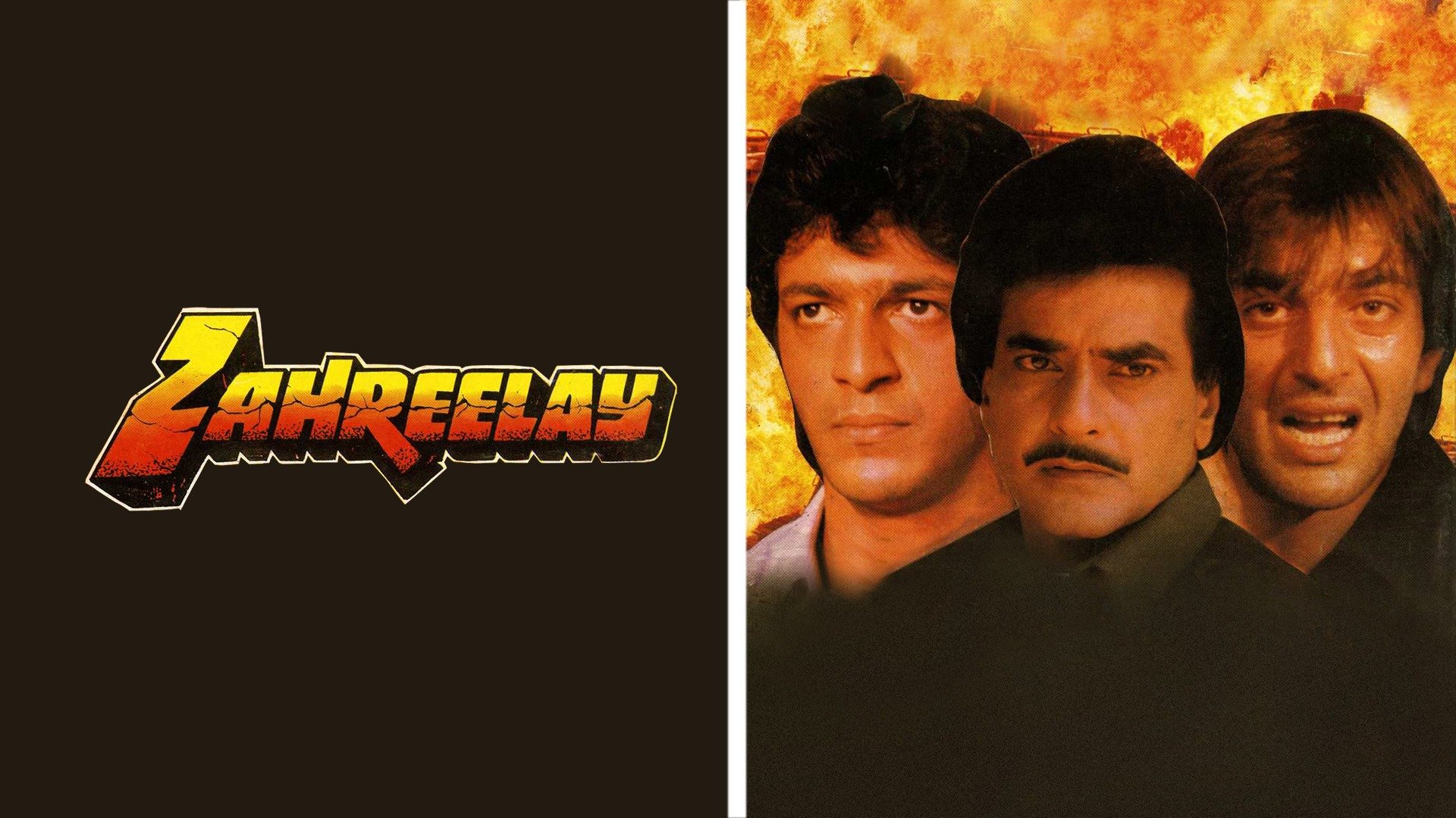 Watch Zahreelay (1990) Full Movie Online - Plex