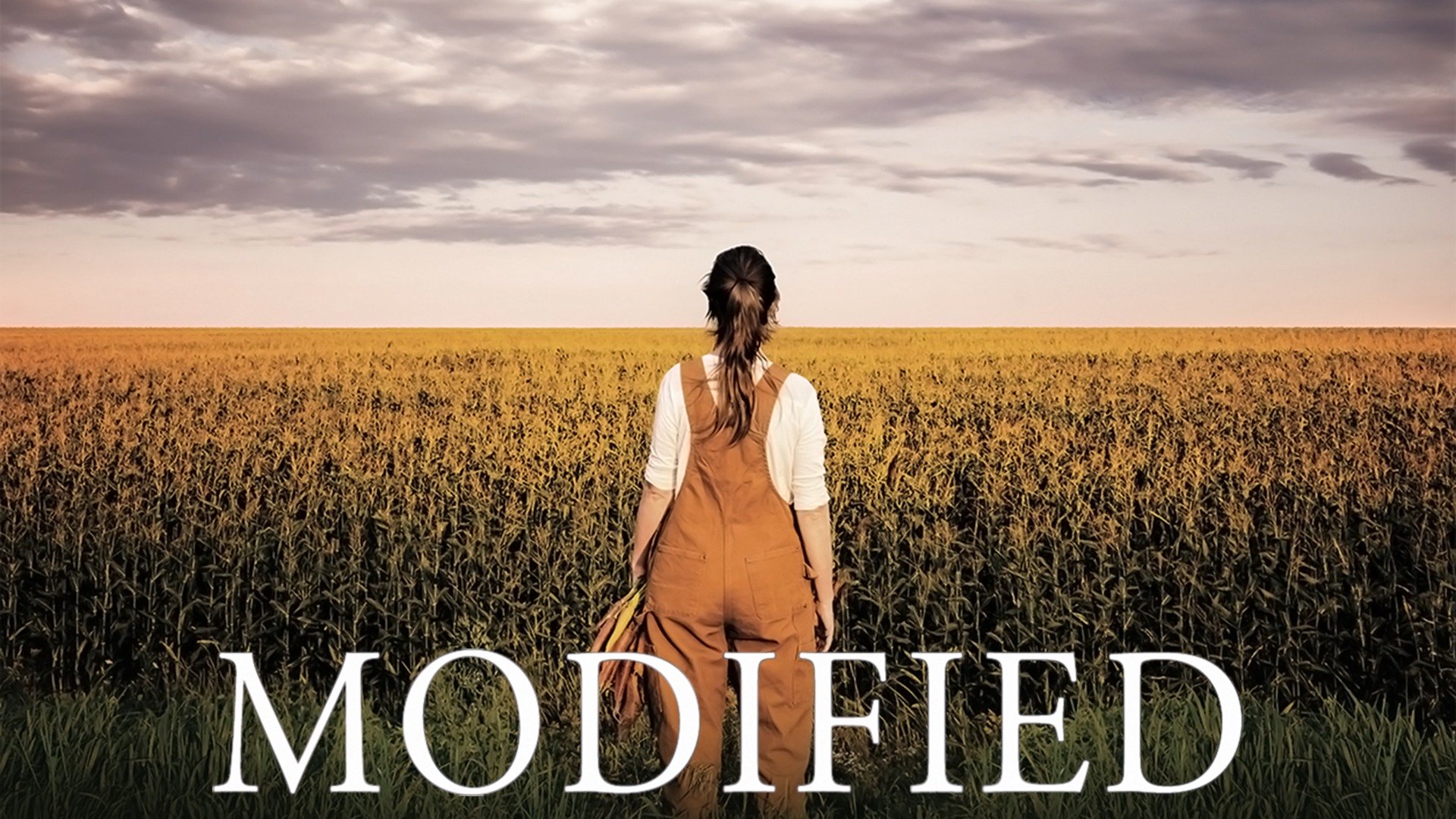 Modified (2017) - Plex