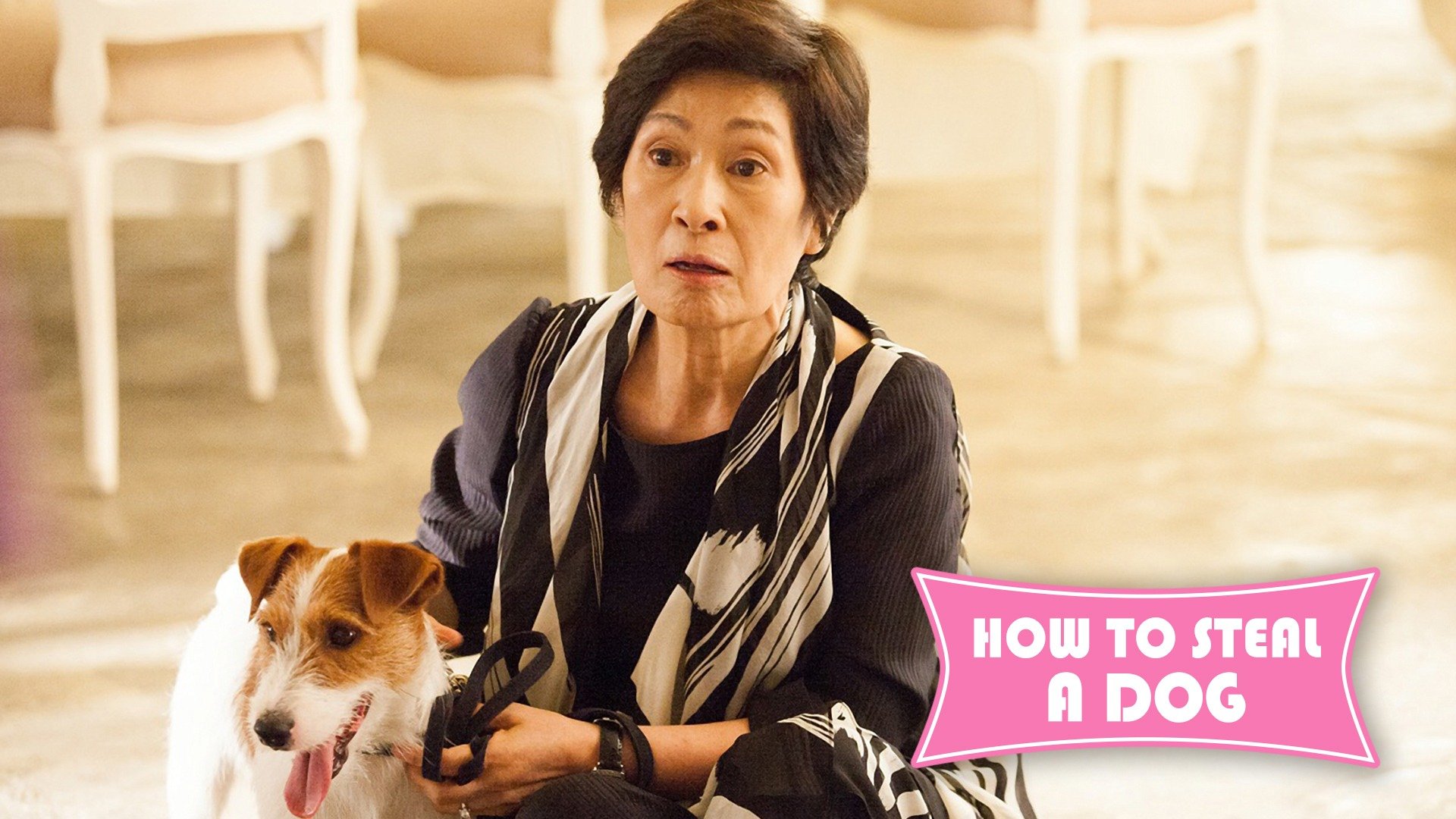 Watch How to Steal a Dog (2014) Full Movie Free Online - Plex