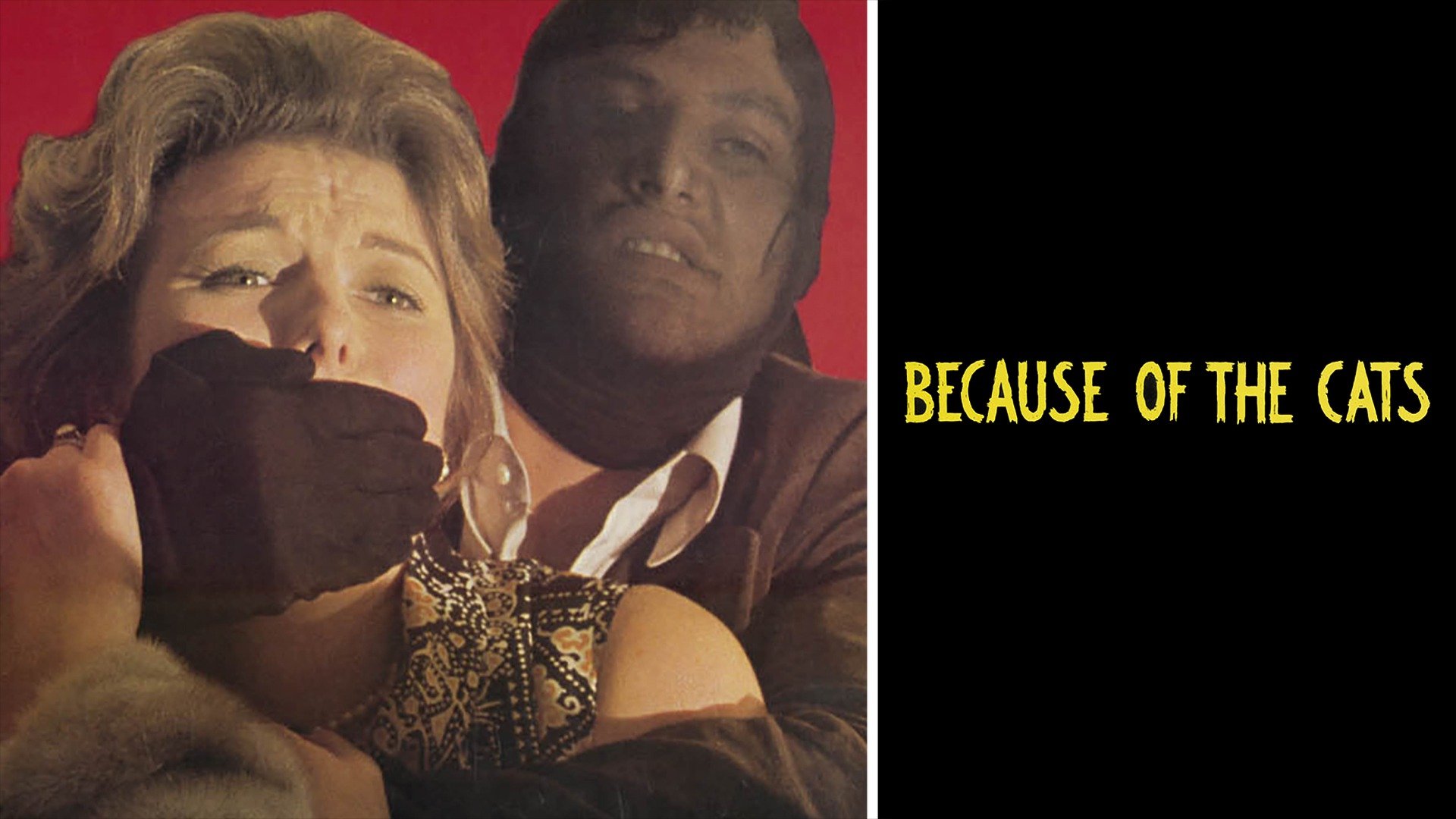 Because of the Cats (1973) - Plex