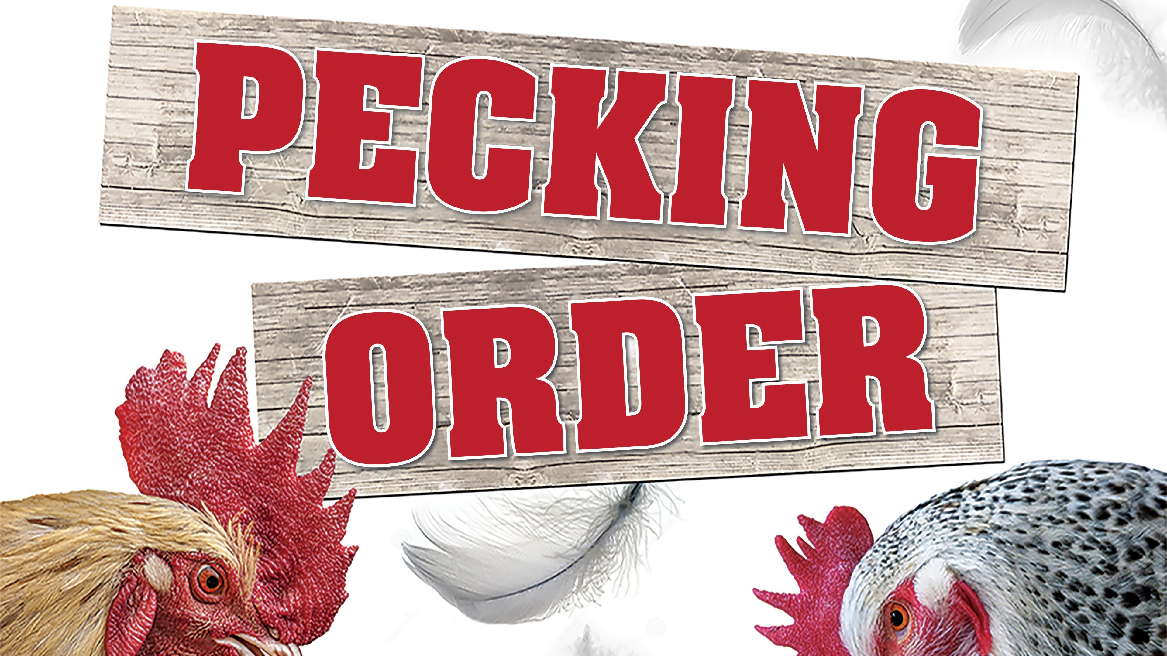 Watch Pecking Order (2017) Full Movie Free Online - Plex