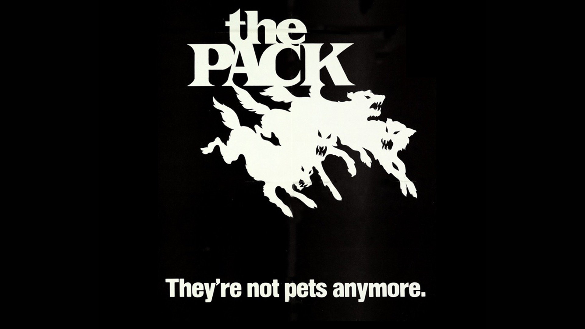 Watch The Pack (1977) Full Movie Online - Plex