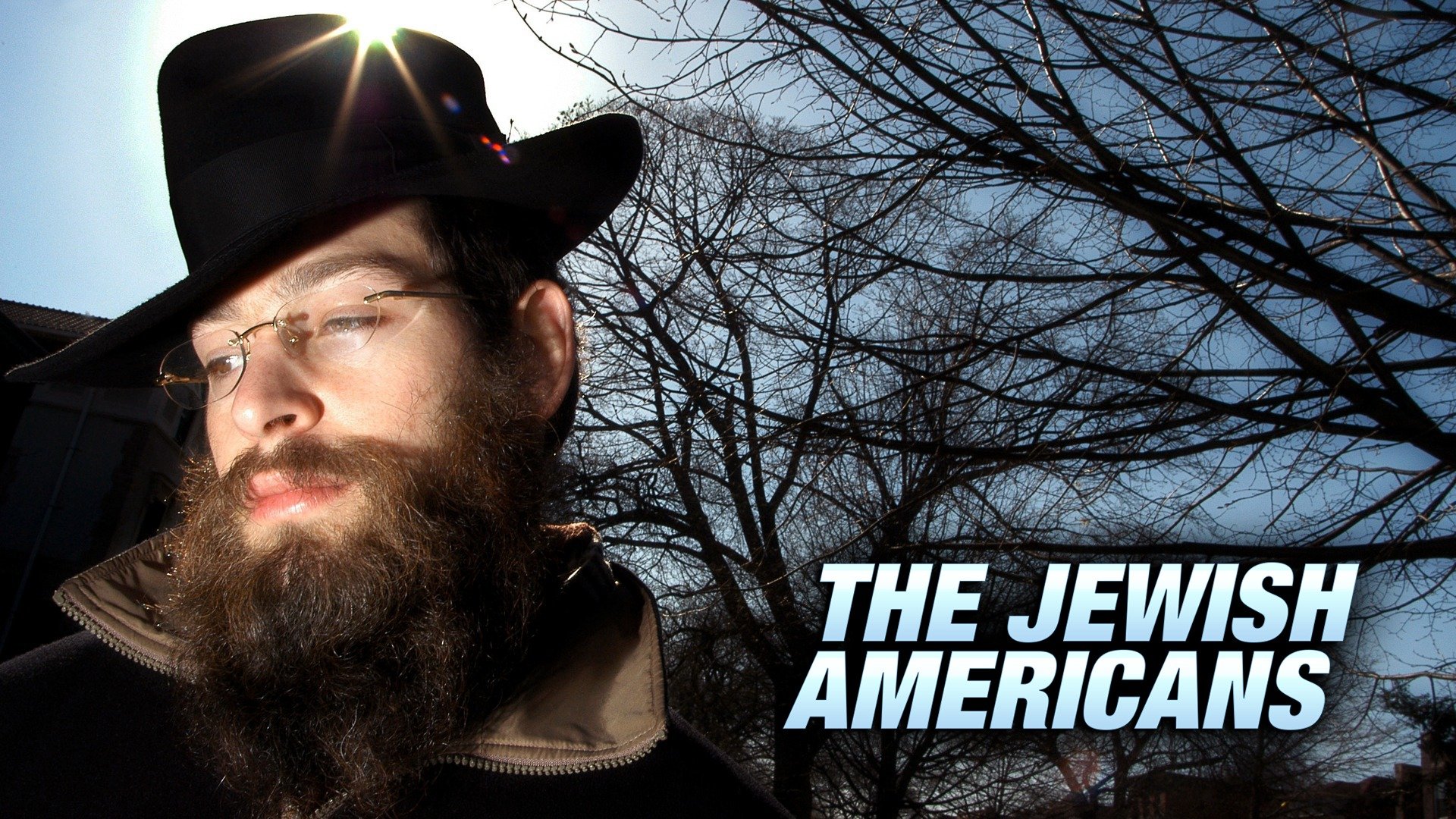 The Jewish Americans (2008) - Plex