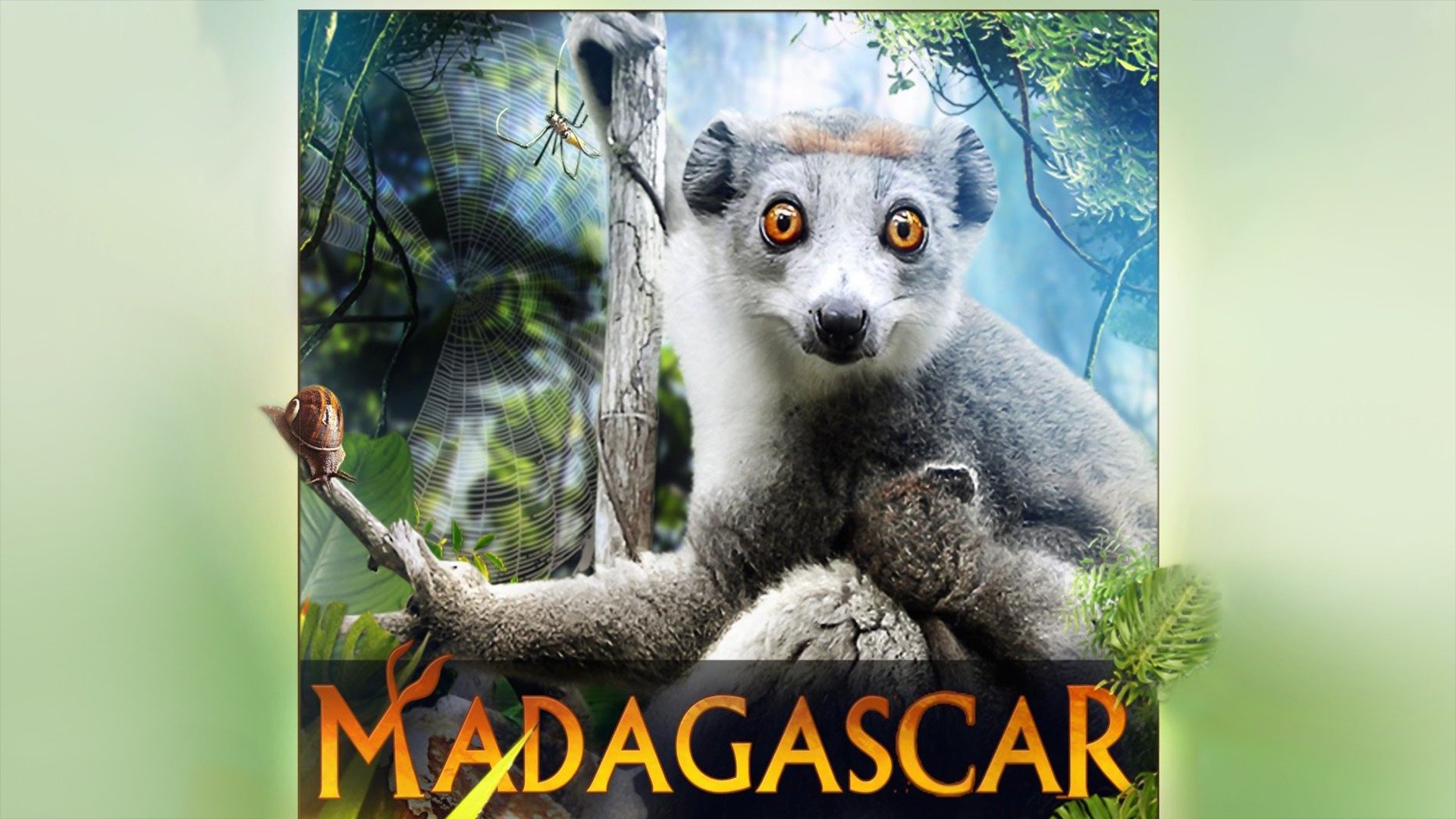 Watch Madagascar 3D (2013) Full Movie Free Online - Plex