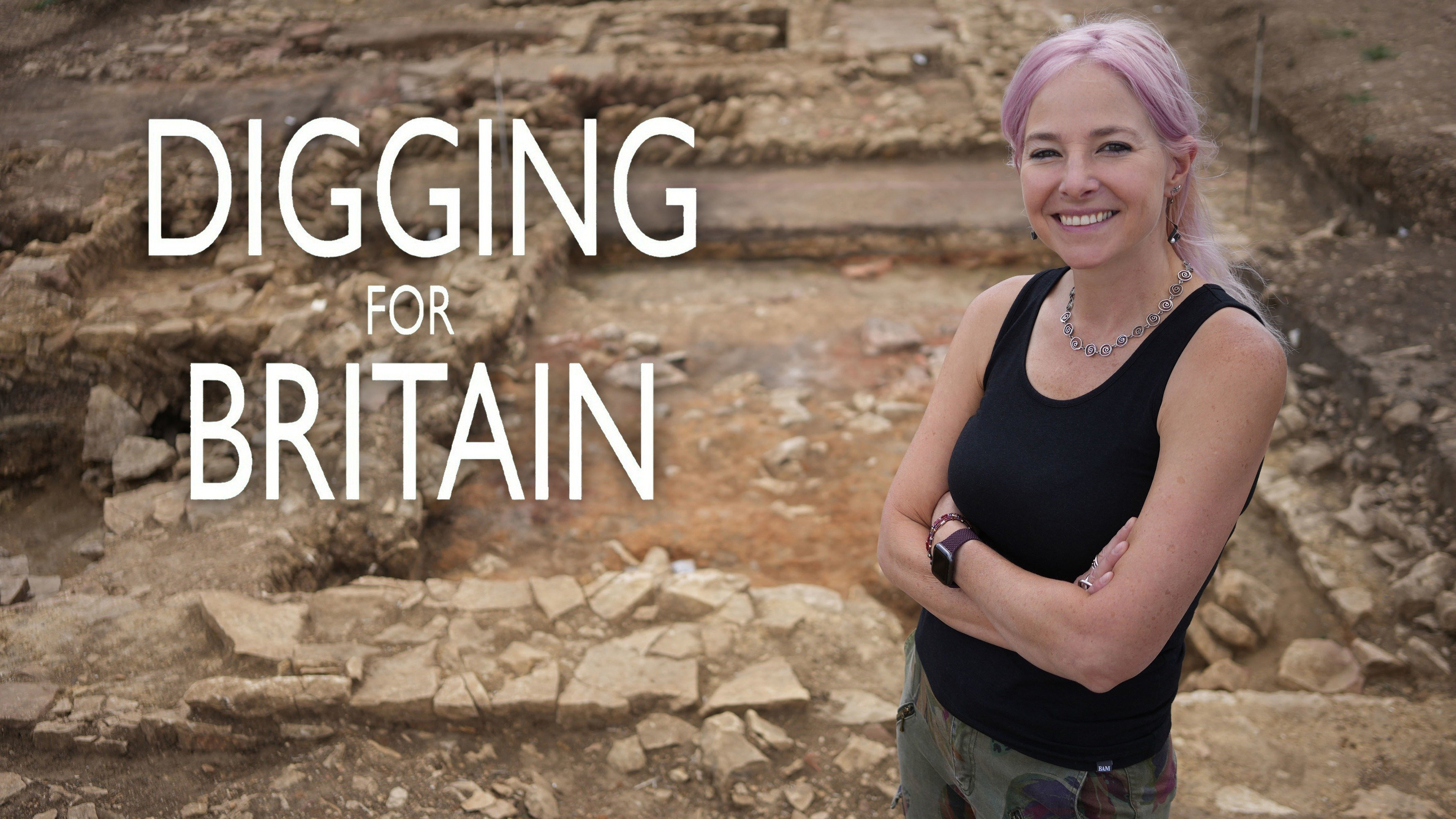 Watch Digging for Britain (2010) TV Series Online - Plex