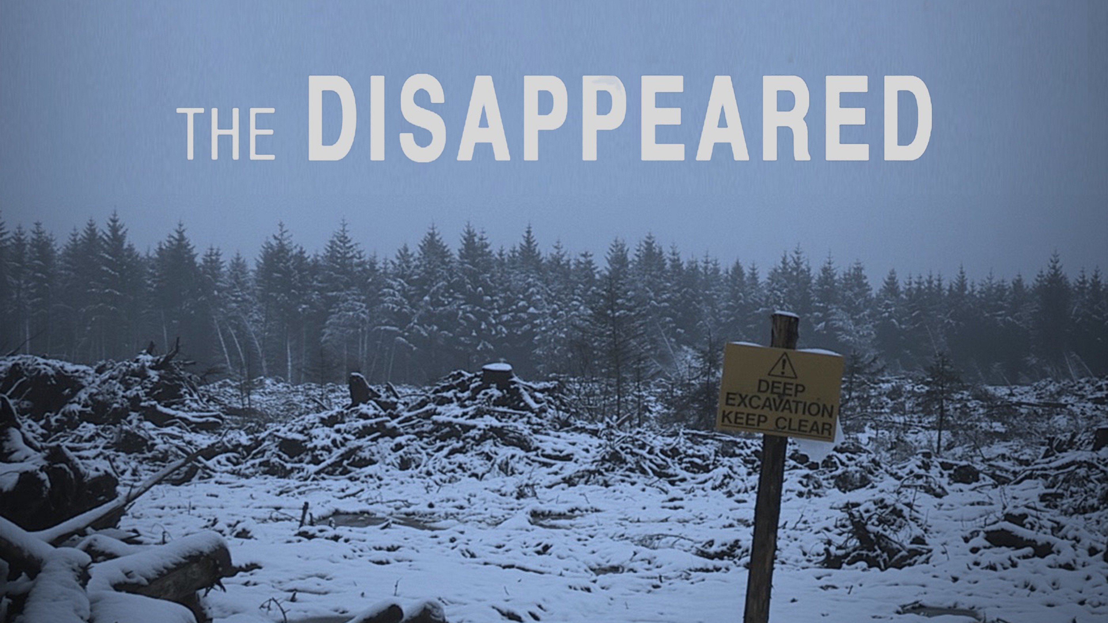 Watch The Disappeared (2013) Full Movie Online - Plex