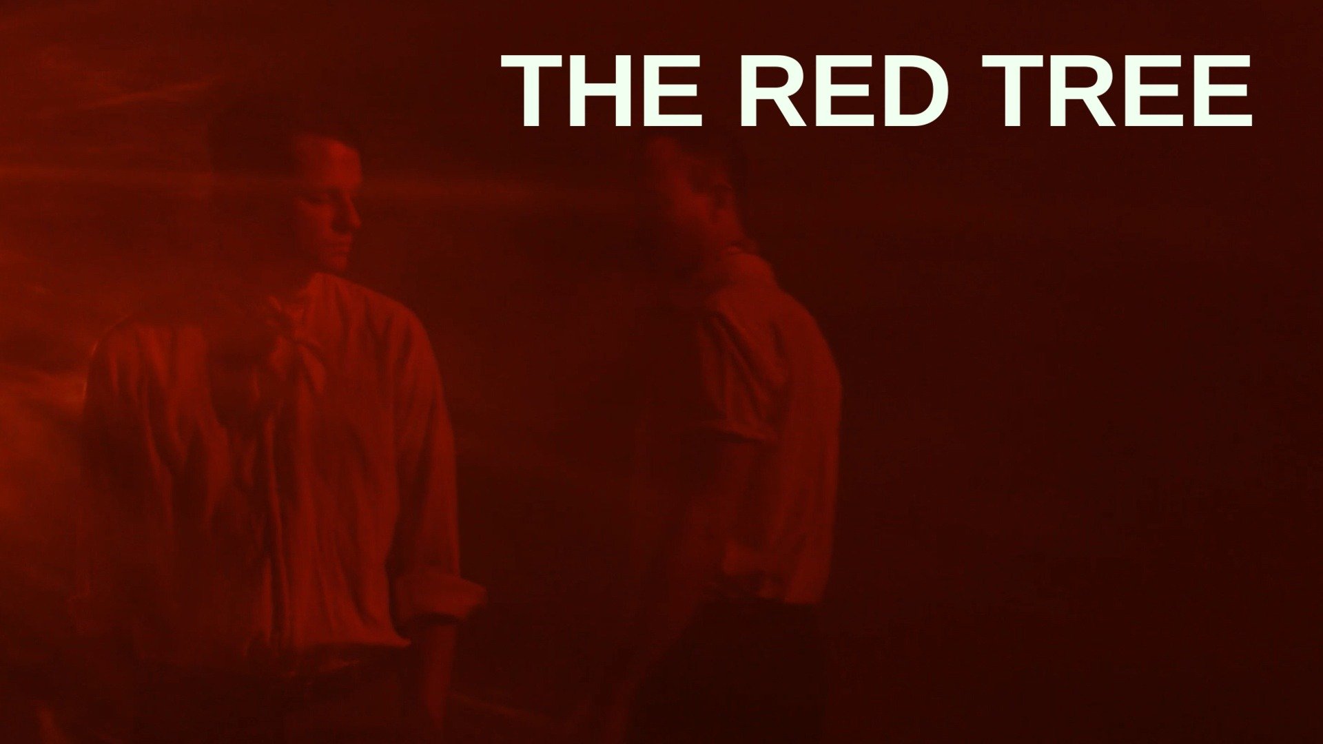 Watch The Red Tree (2018) Full Movie Online - Plex