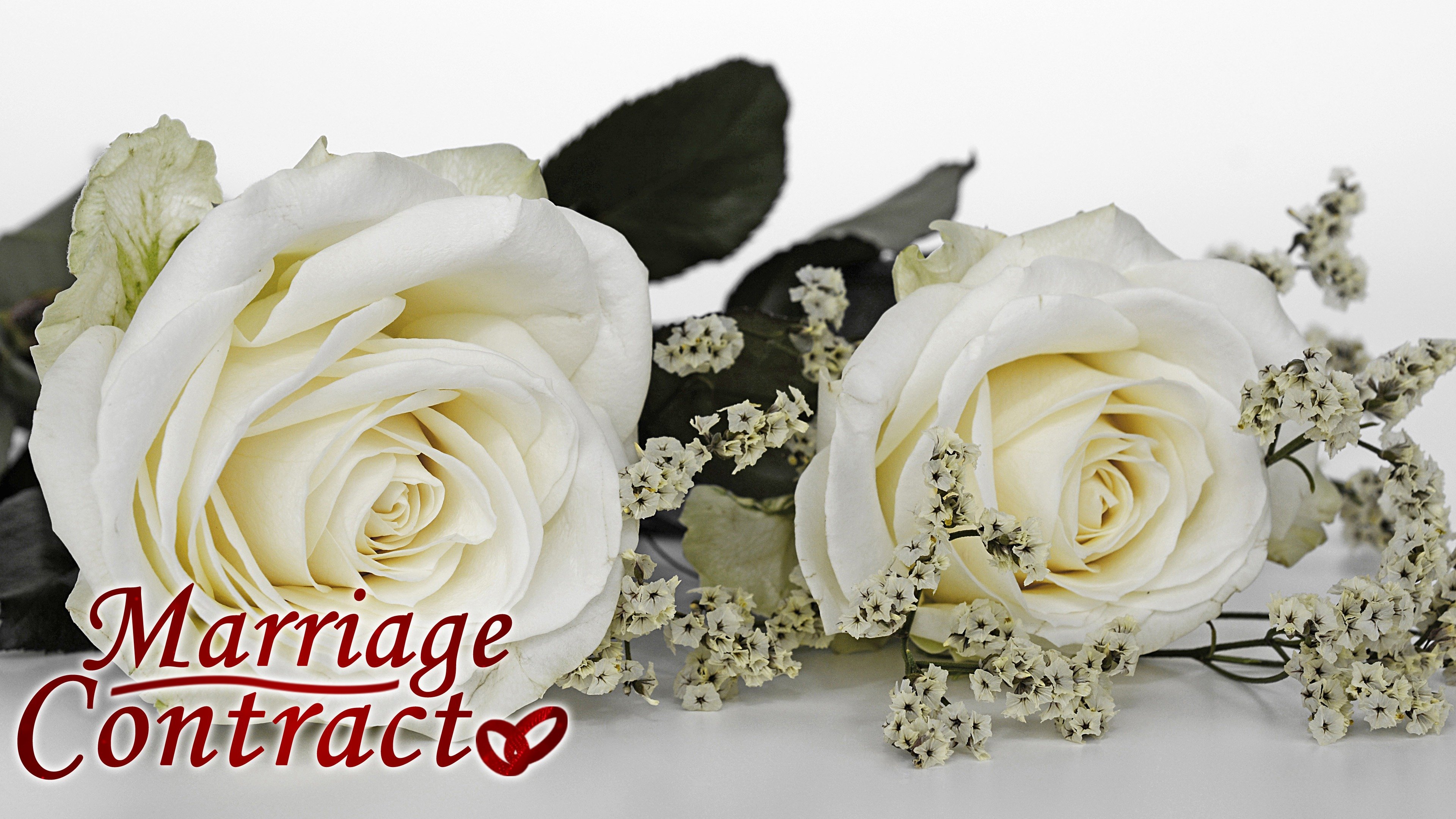Watch Marriage Contract (2016) TV Series Free Online - Plex