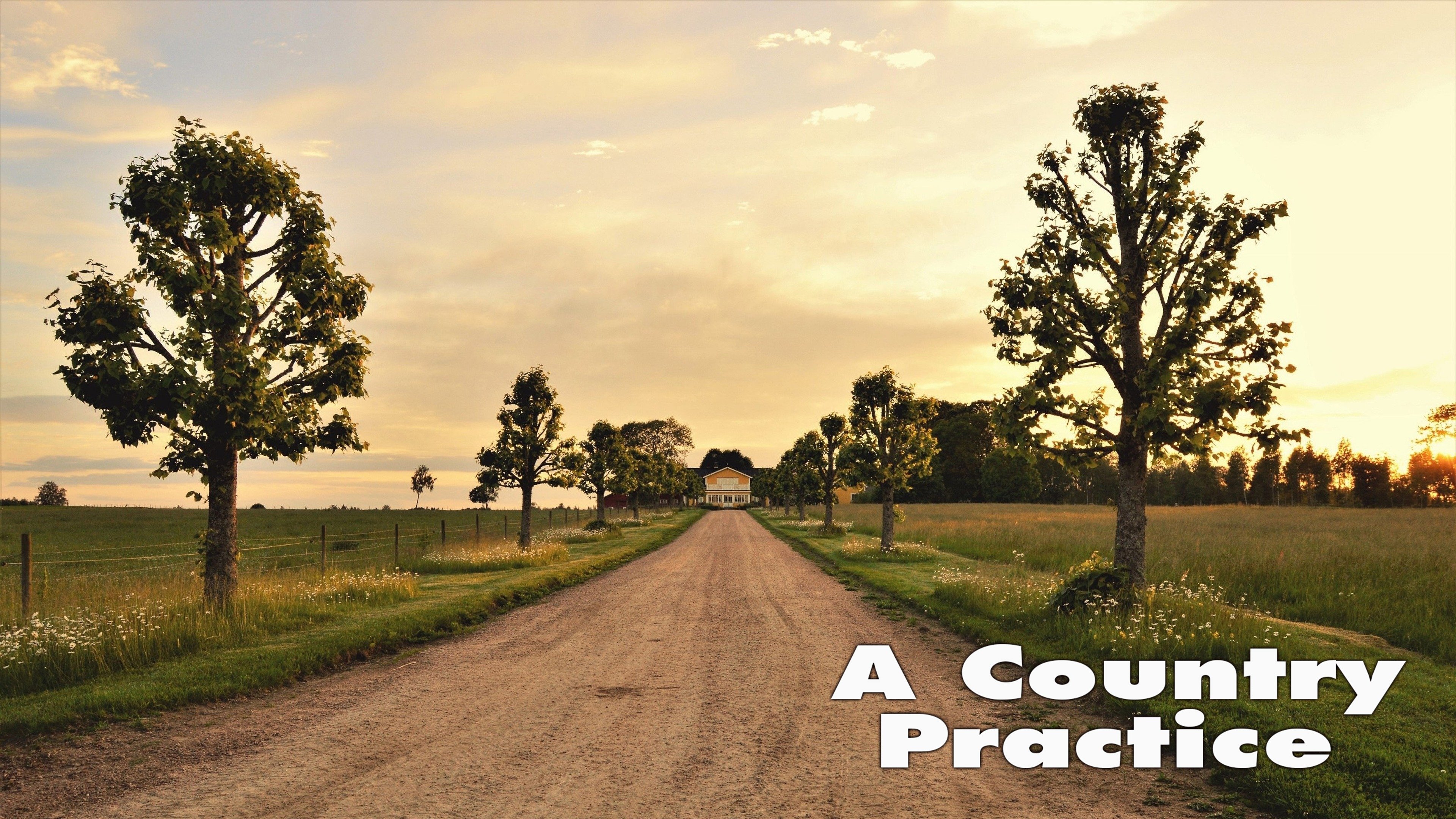 A Country Practice · Season 14 - Plex