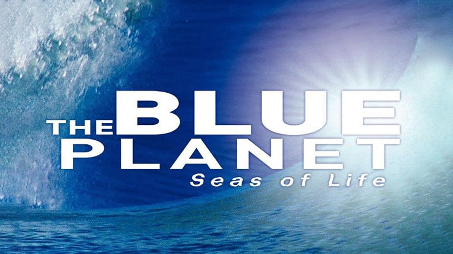 Watch The Blue Planet (2001) TV Series Online - Plex