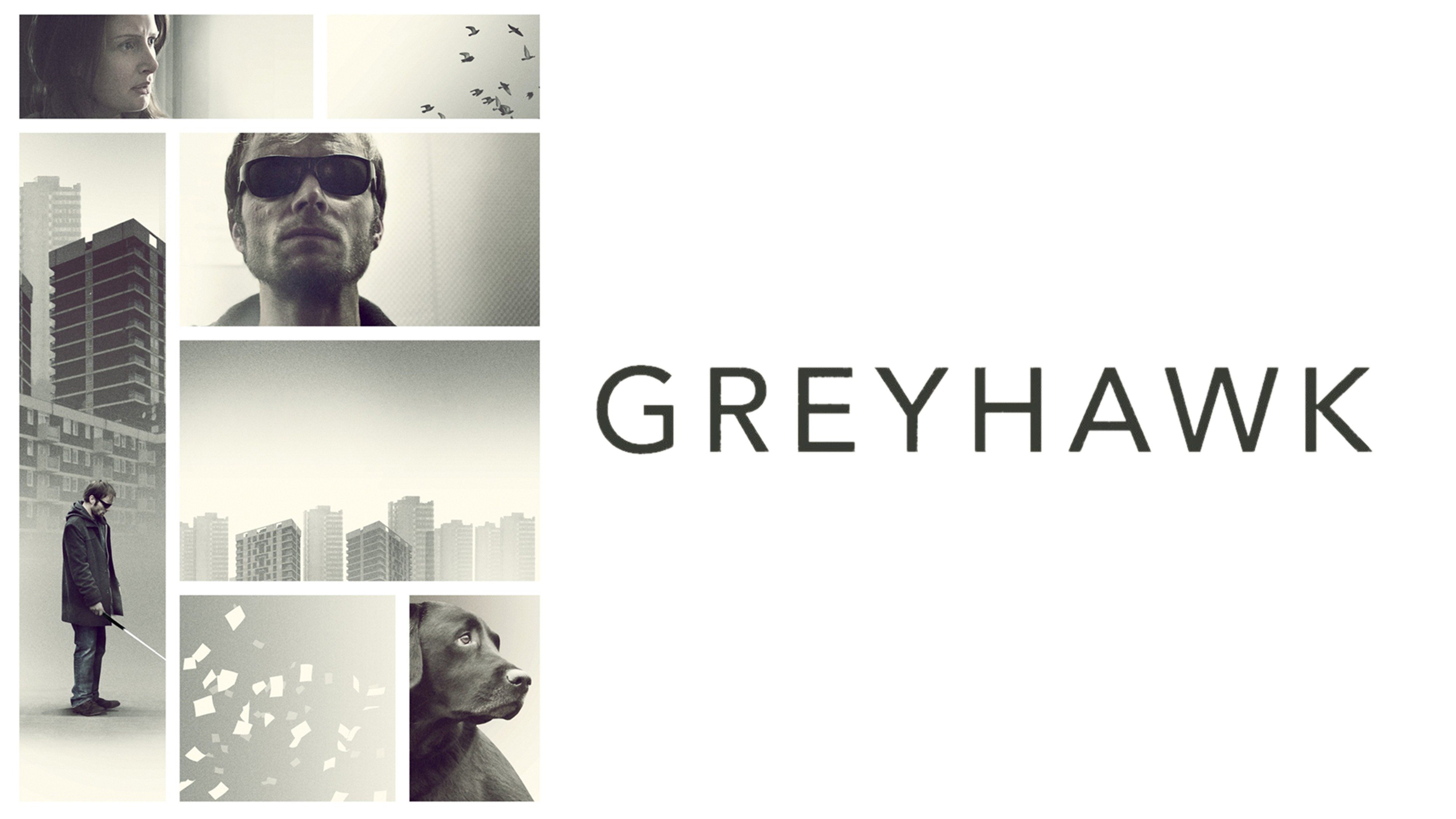 Greyhawk (2014) - Plex