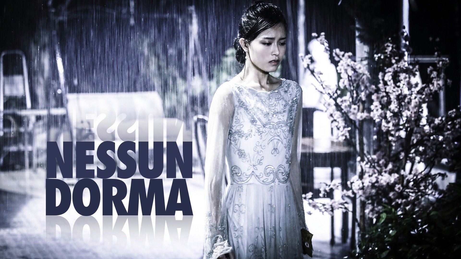 Watch Nessun Dorma (2016) Full Movie Online - Plex
