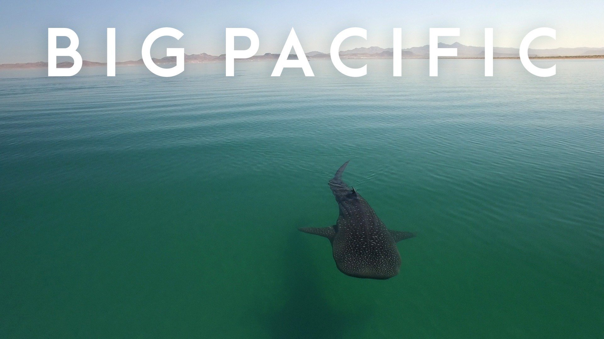 Watch Big Pacific · Season 1 Full Episodes Online - Plex