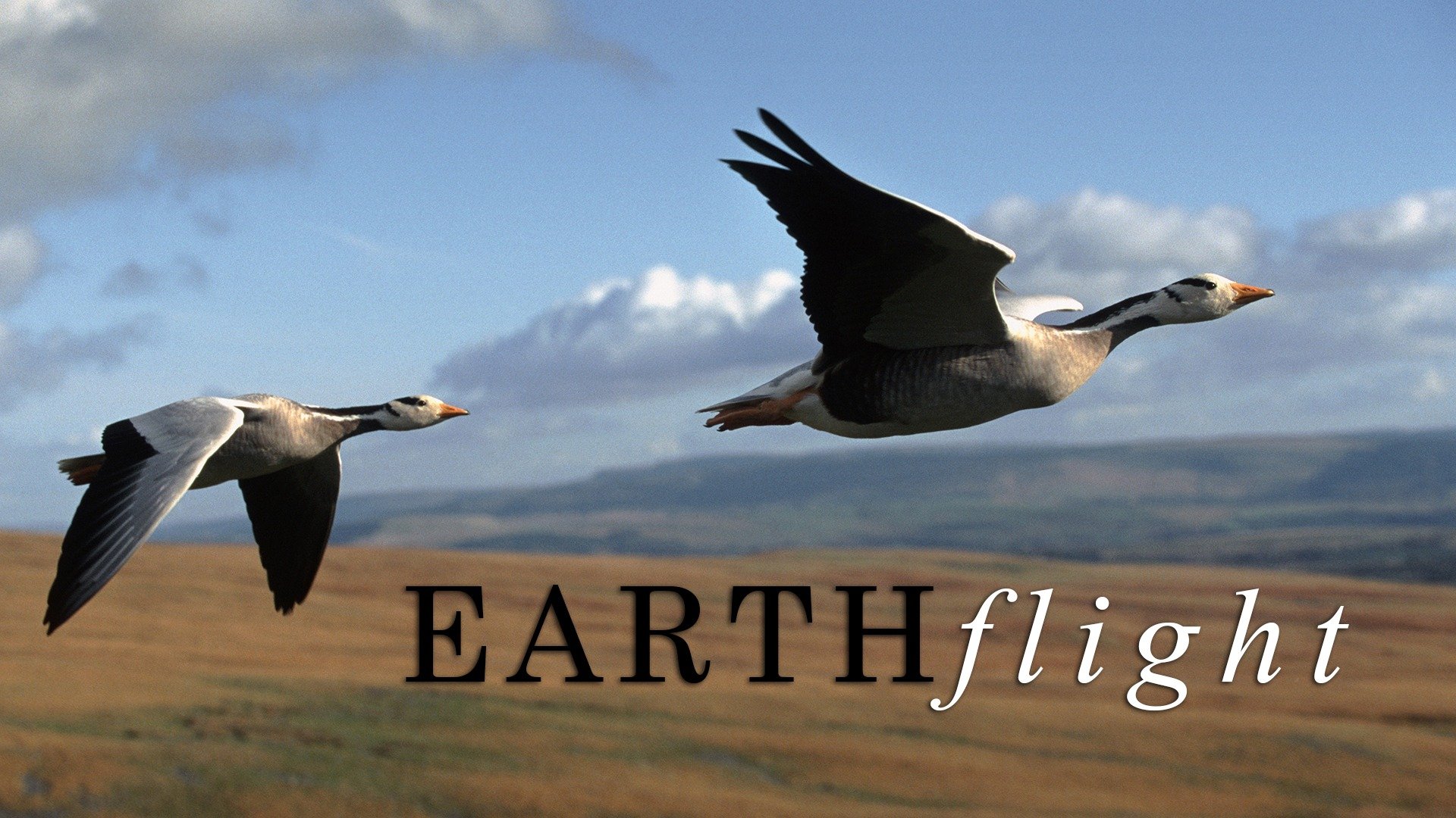 Watch Earthflight (2011) TV Series Online - Plex