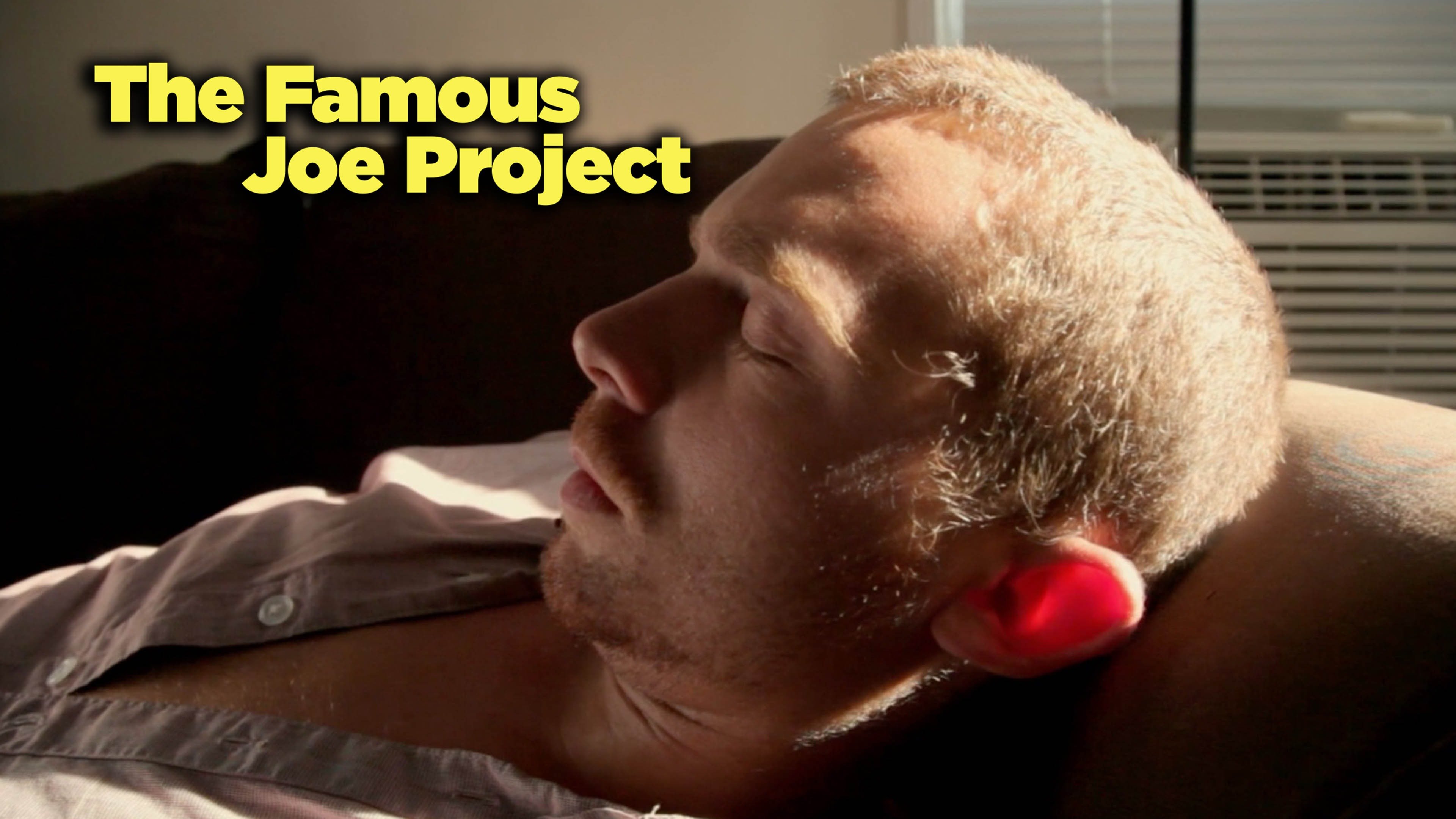 Watch The Famous Joe Project (2012) Full Movie Online - Plex