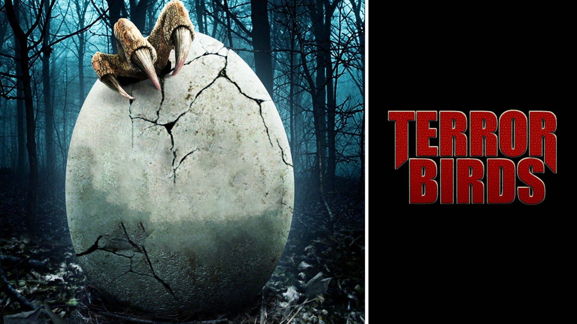 Watch Terror Birds (2016) Full Movie Free Online - Plex