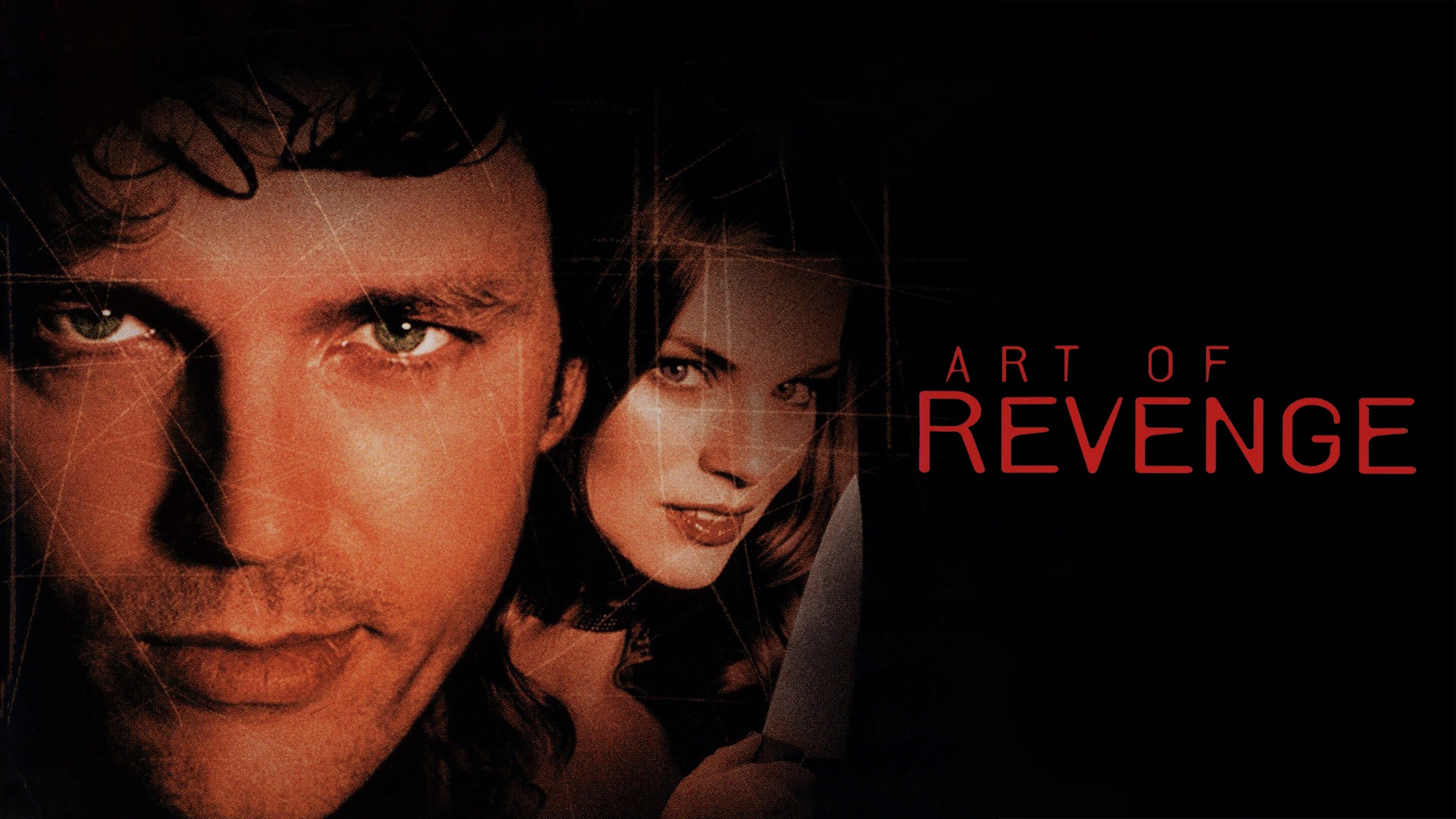 Art of Revenge (2011) - Plex