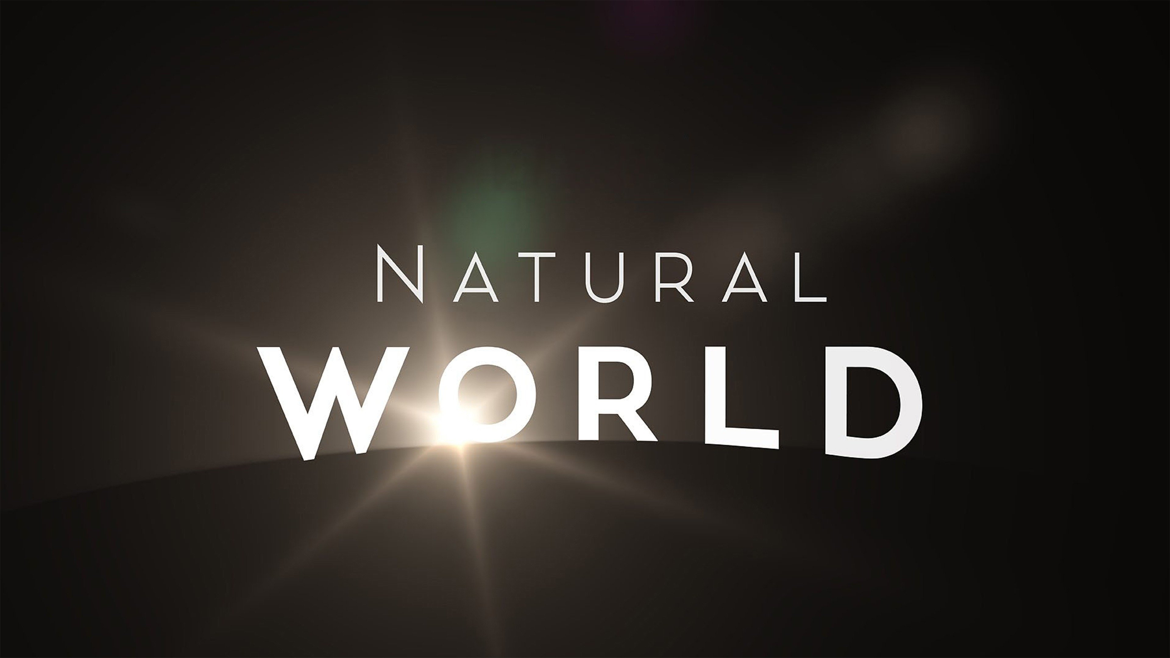 Watch Natural World (1983) TV Series Online - Plex