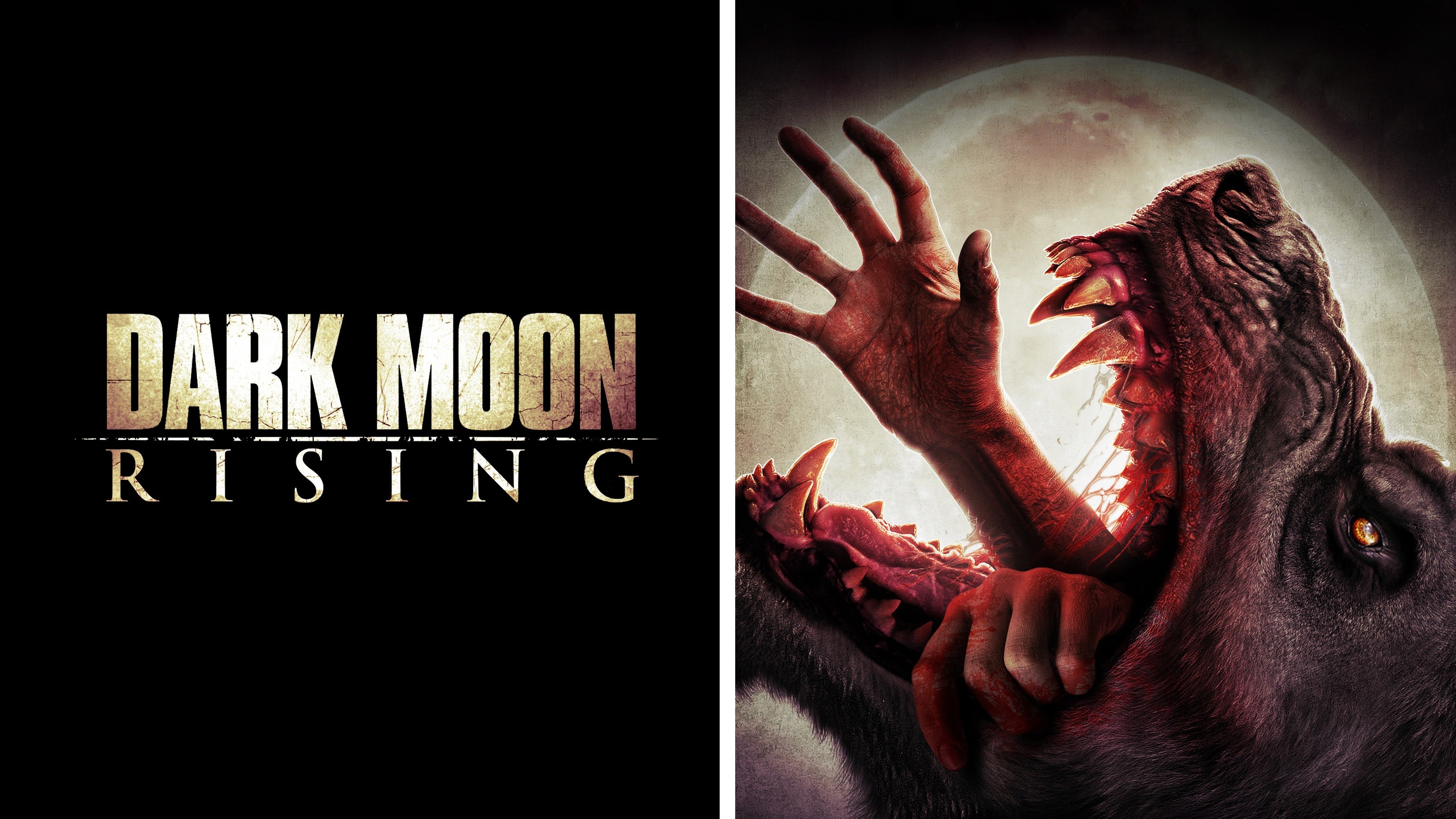 Watch Dark Moon Rising (2015) Full Movie Free Online - Plex