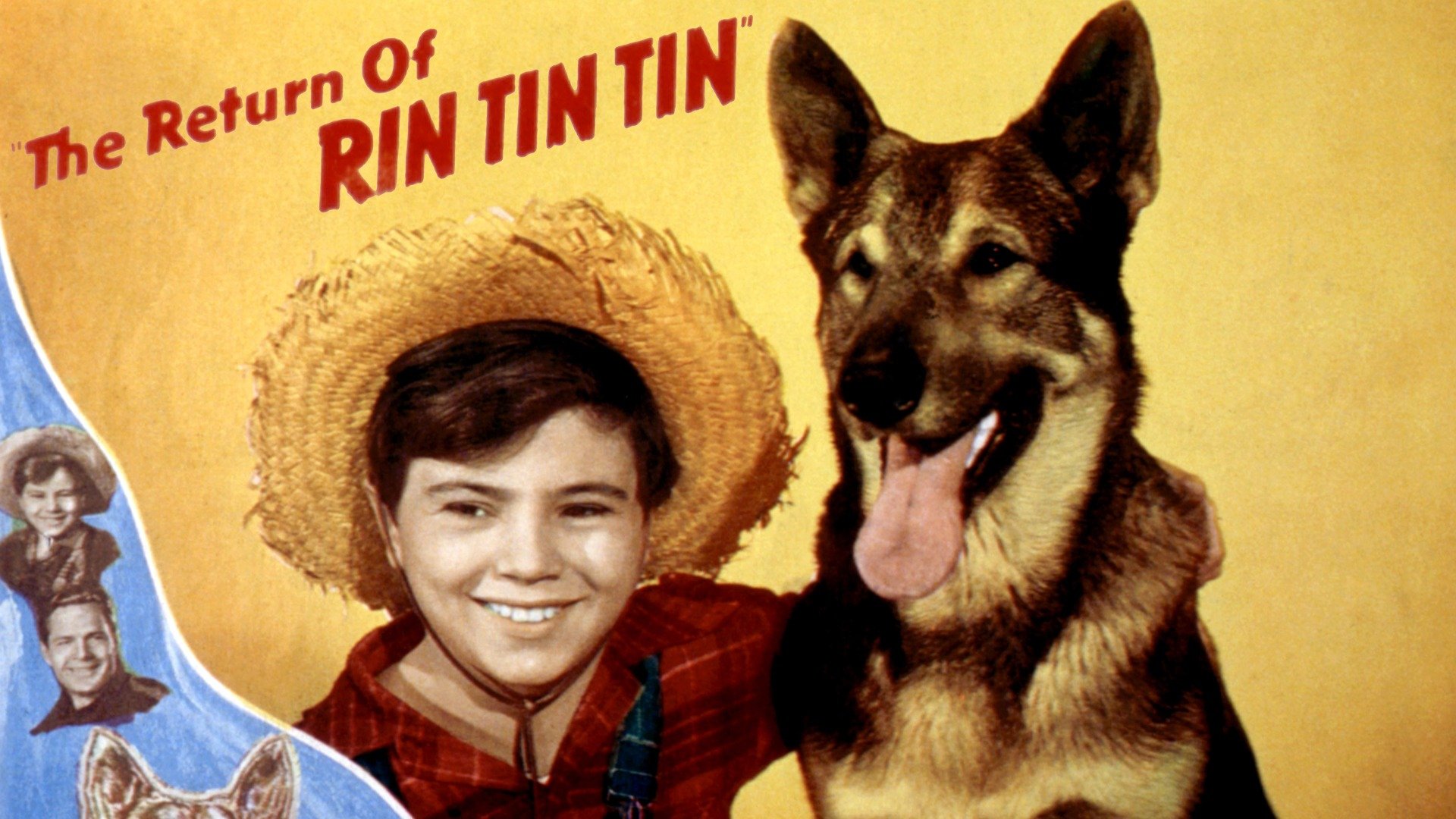 Watch The Return of Rin Tin Tin (1947) Full Movie Free Online - Plex
