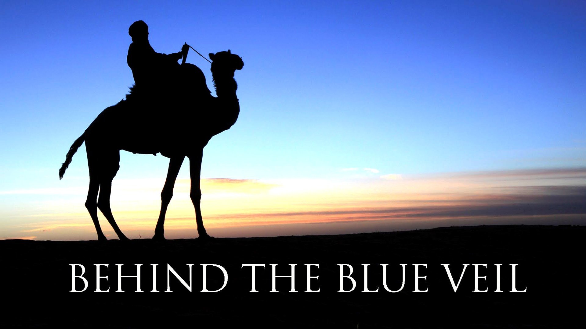 Watch Behind the Blue Veil (2013) Full Movie Online - Plex