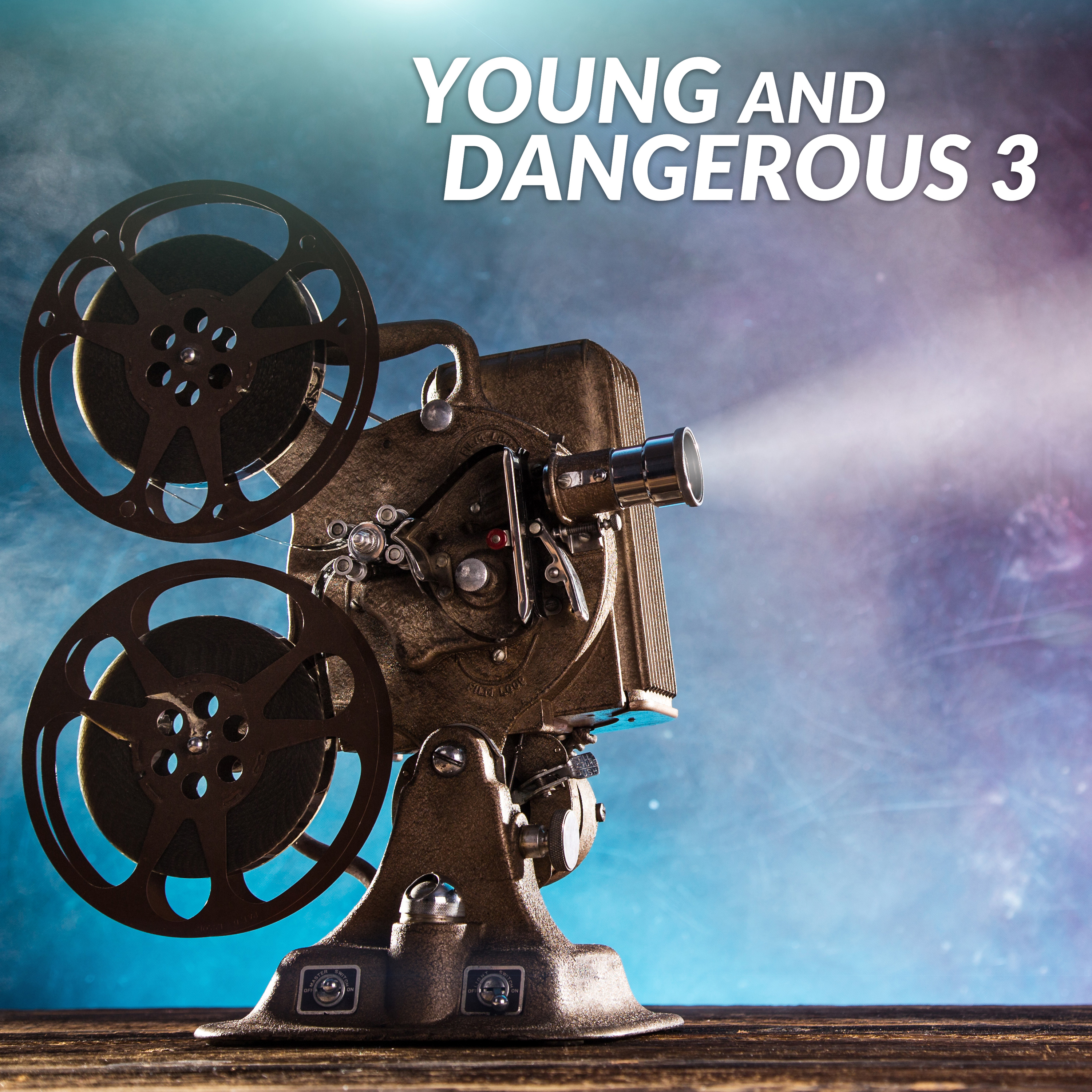 Young And Dangerous 3