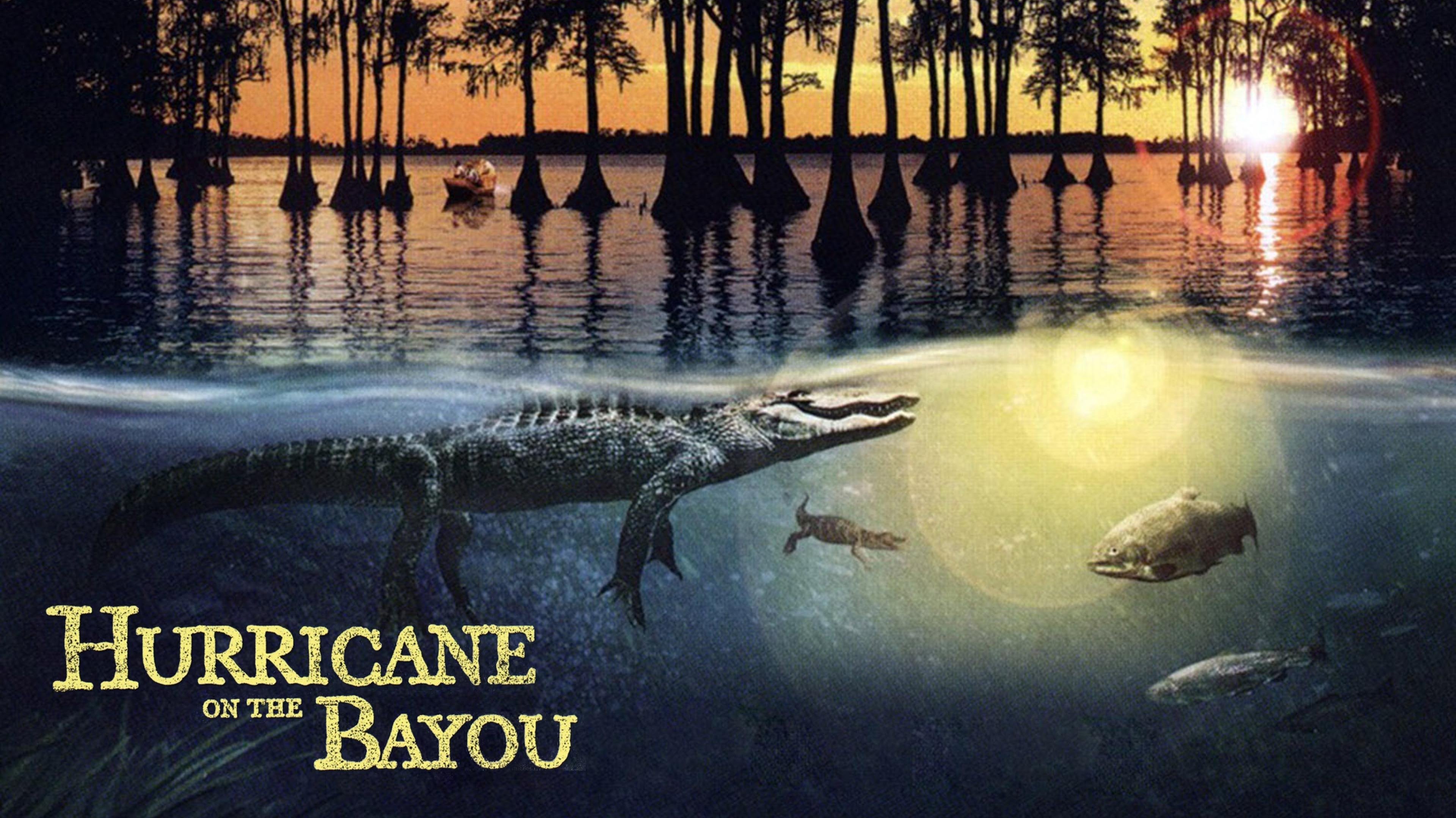 Watch Hurricane on the Bayou (2006) Full Movie Free Online - Plex
