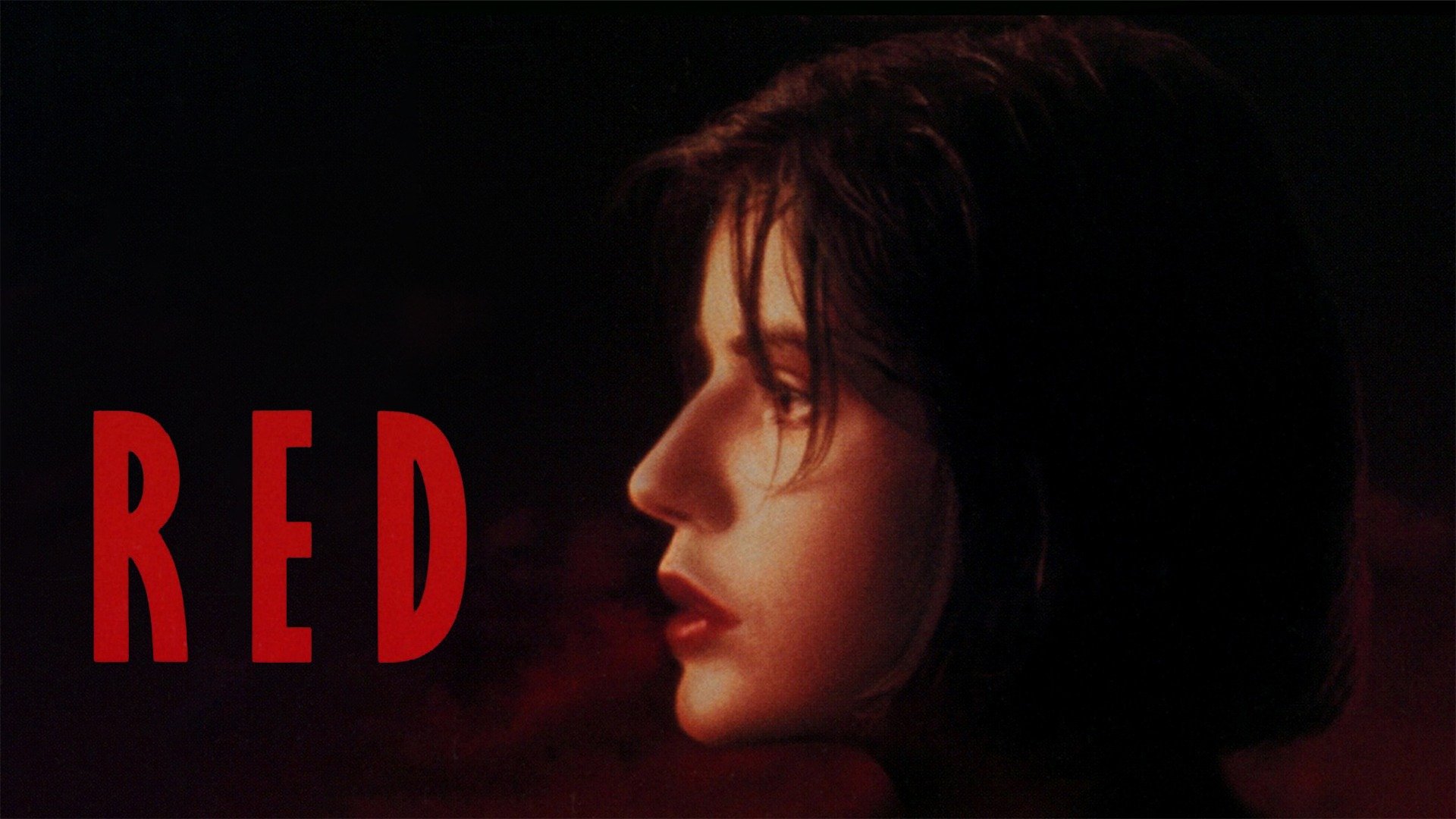 Watch Three Colors: Red (1994) Full Movie Online - Plex