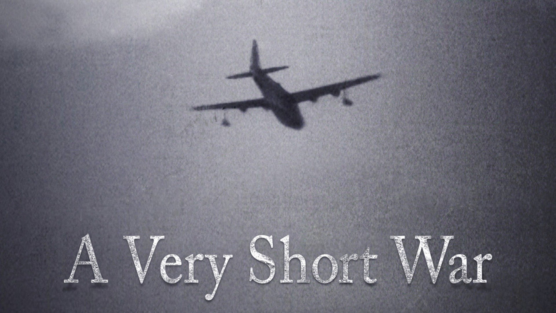 Watch A Very Short War (2010) Full Movie Free Online - Plex