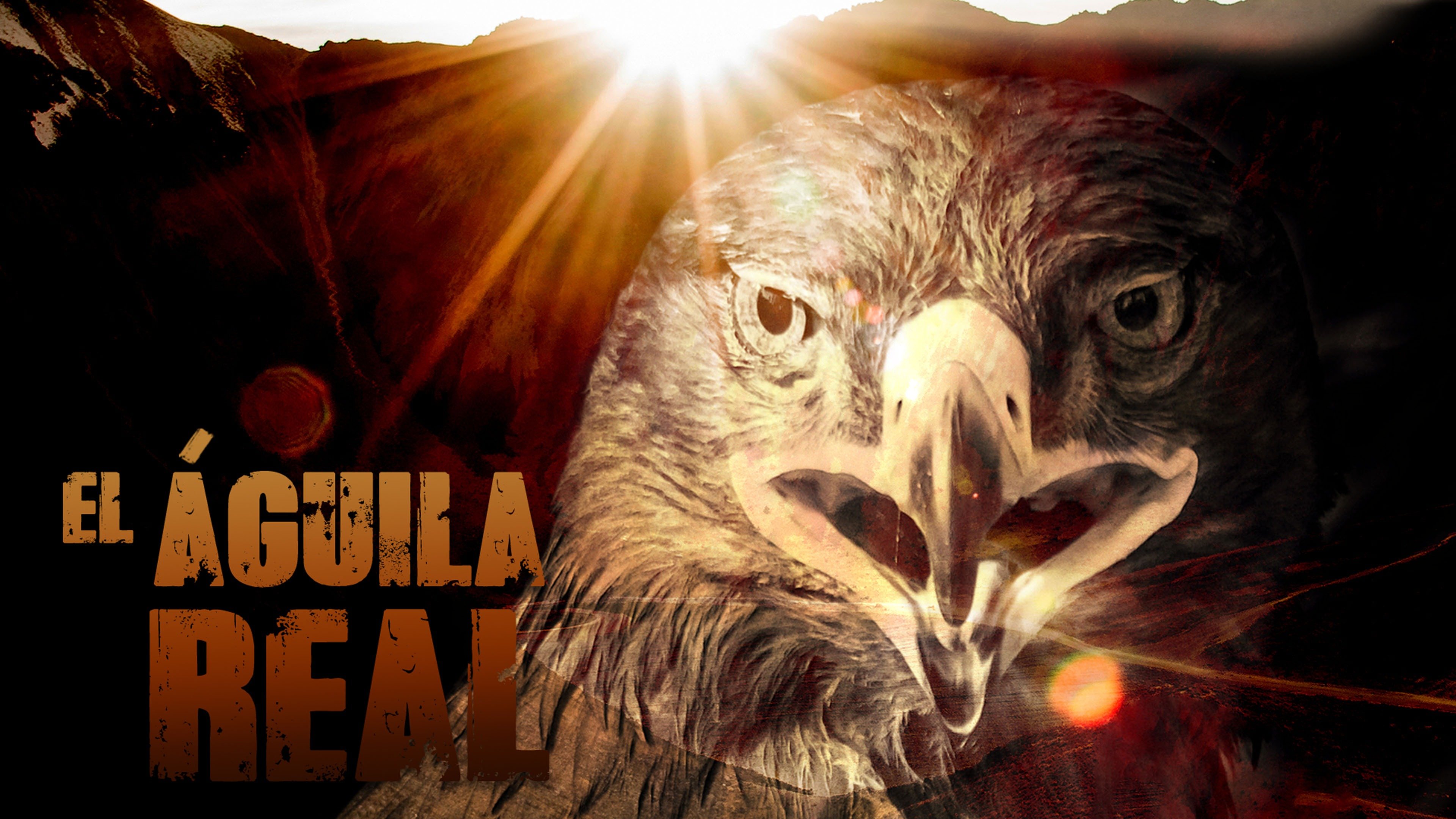 Watch El águila real (1993) Full Movie Free Online - Plex