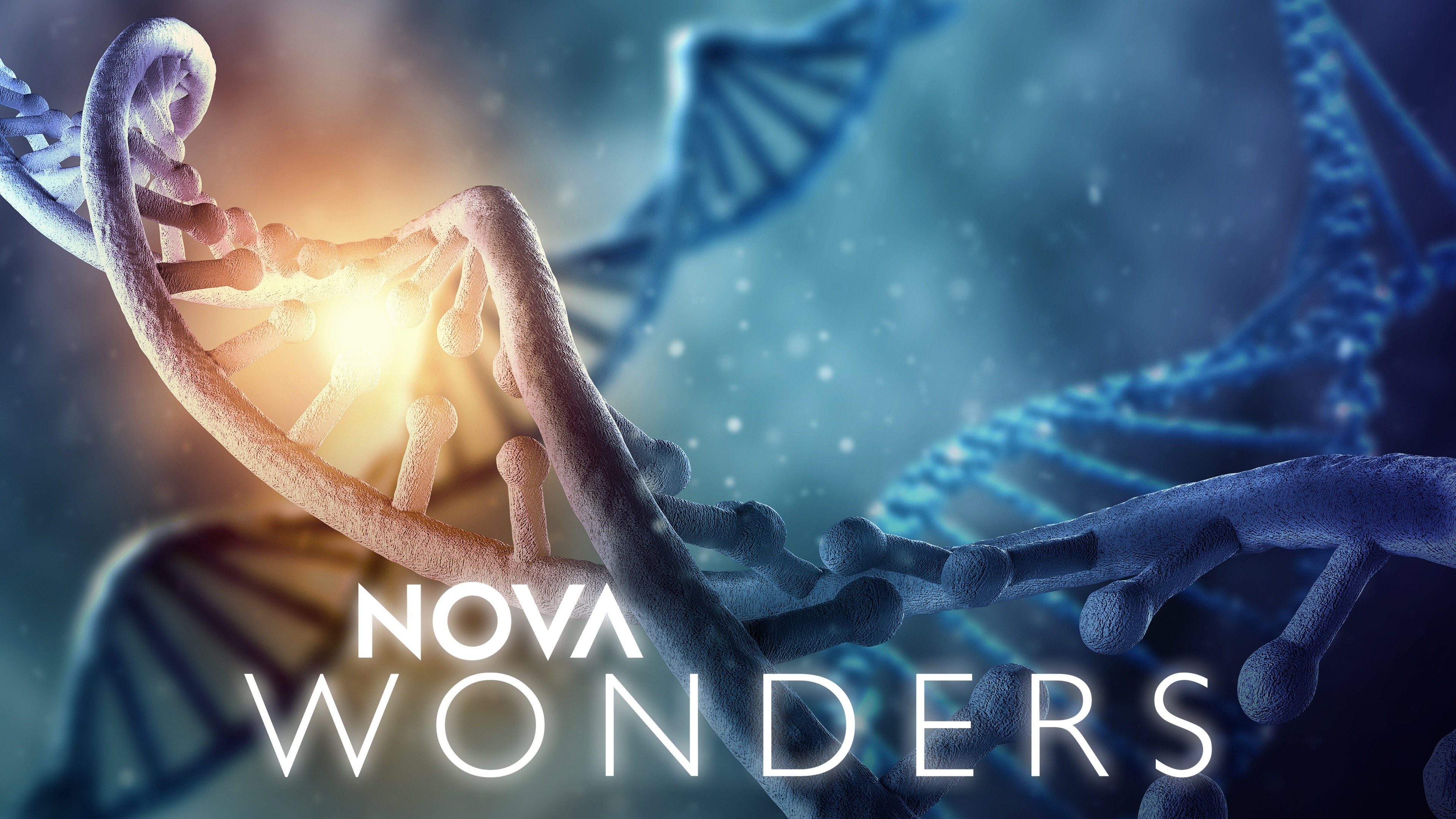Watch NOVA Wonders (2018) TV Series Online - Plex
