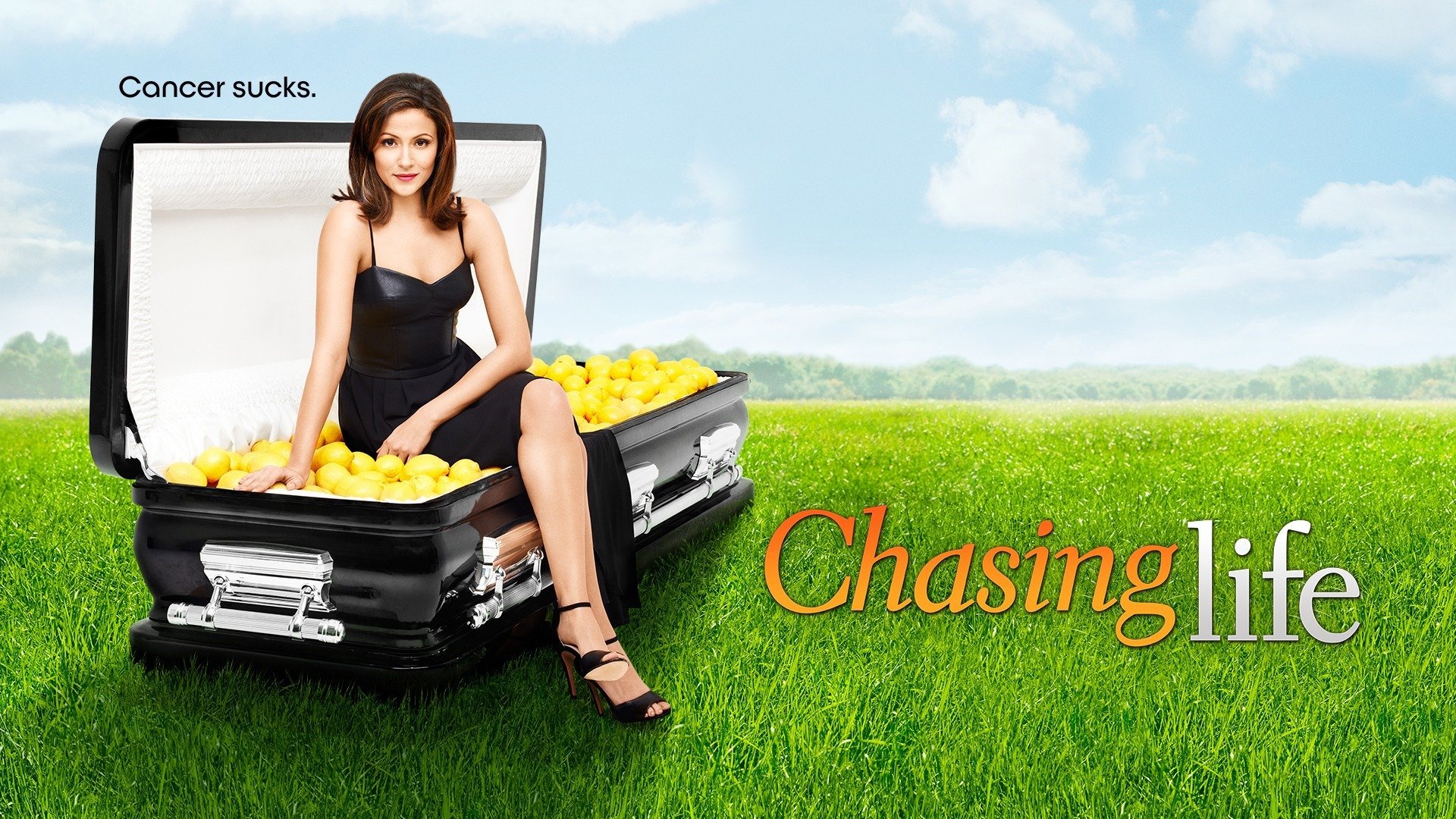 Watch Chasing Life (2013) TV Series Online - Plex