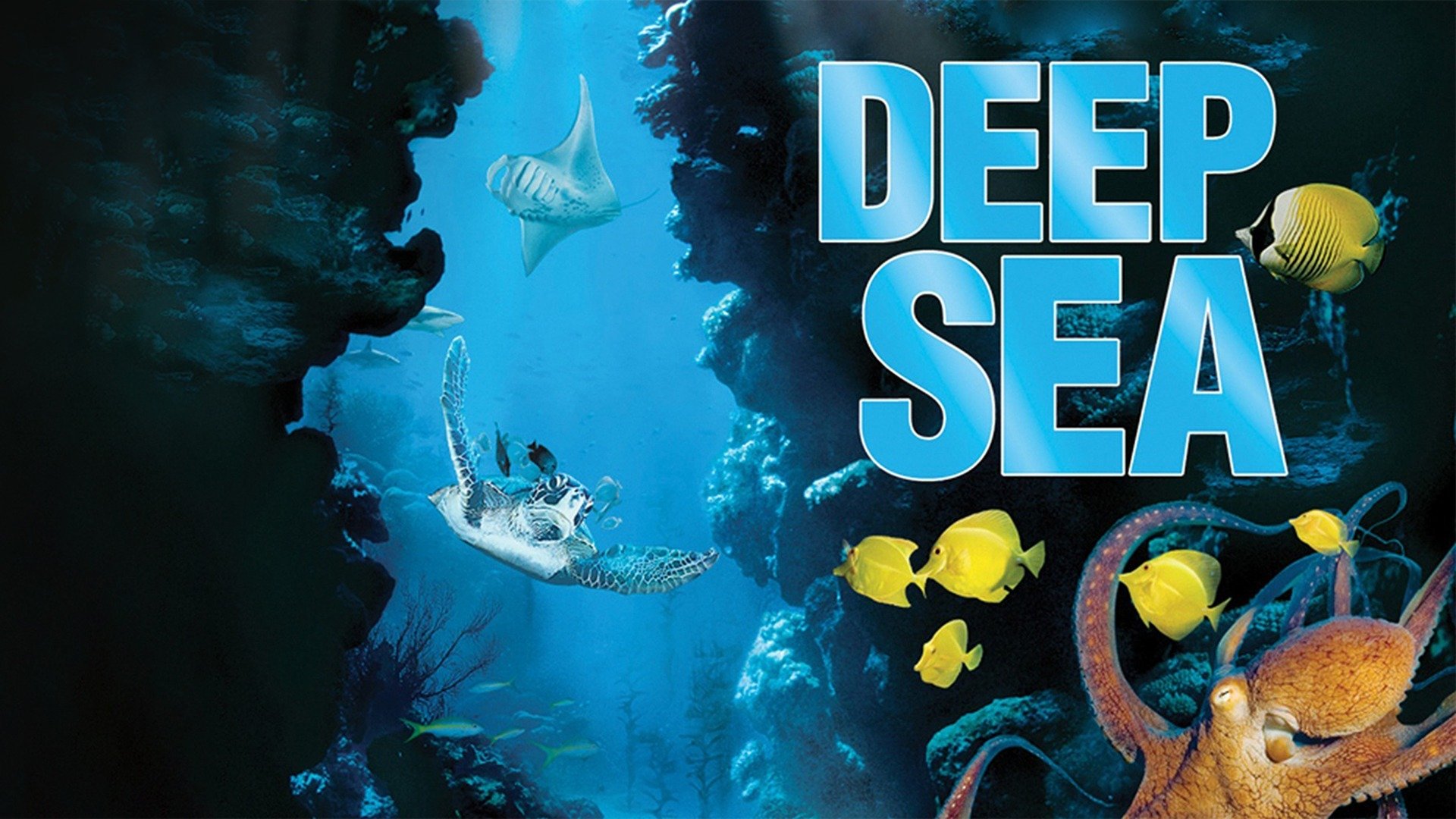 Watch Deep Sea (2006) Full Movie Online - Plex