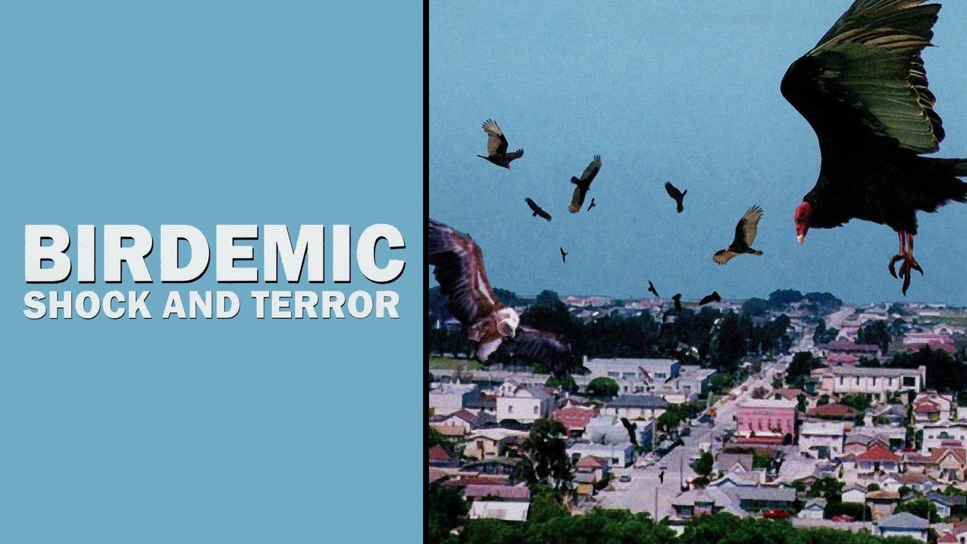 Watch Birdemic: Shock and Terror (2010) Full Movie Free Online - Plex