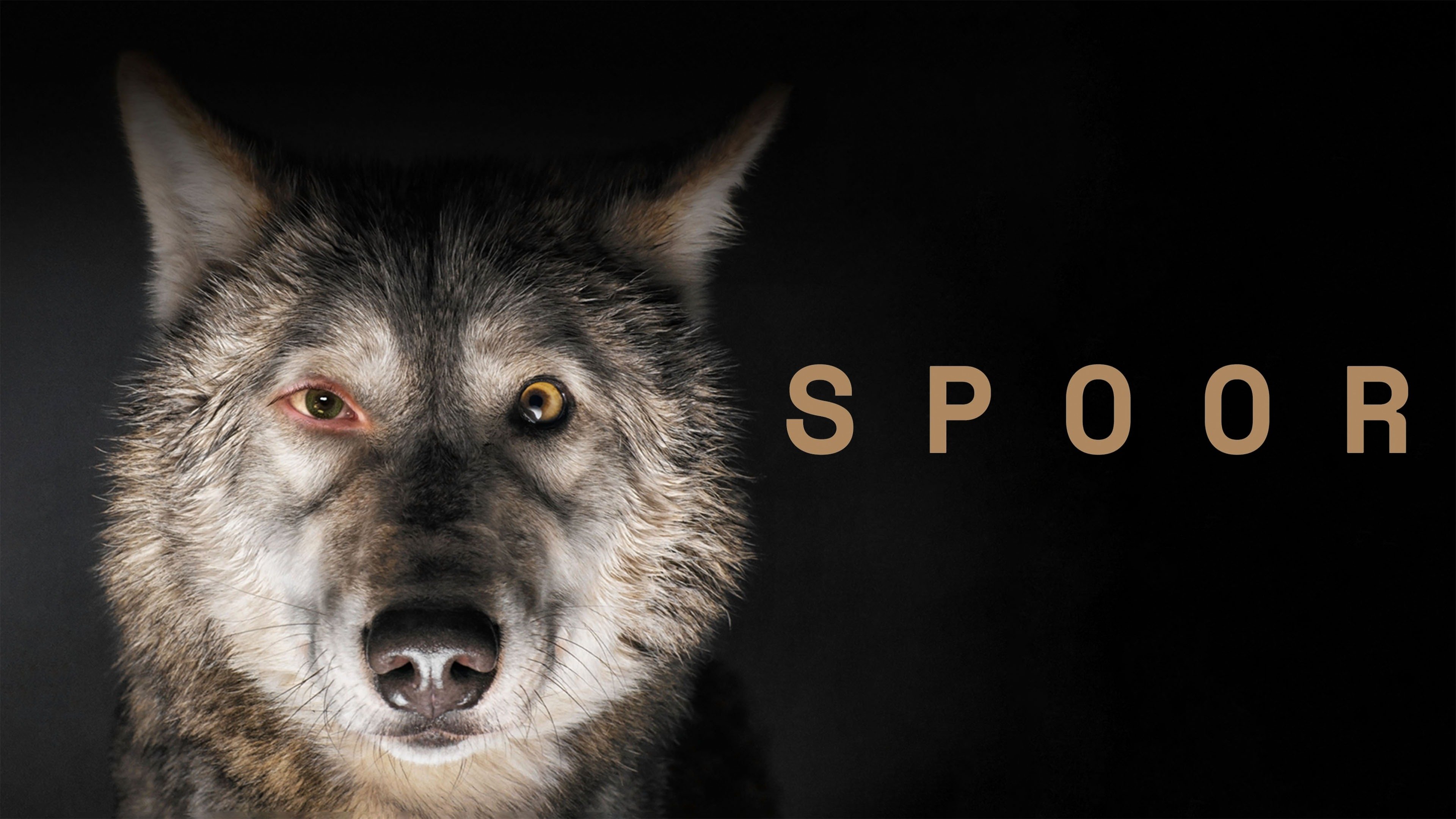 Watch Spoor (2017) Full Movie Free Online - Plex
