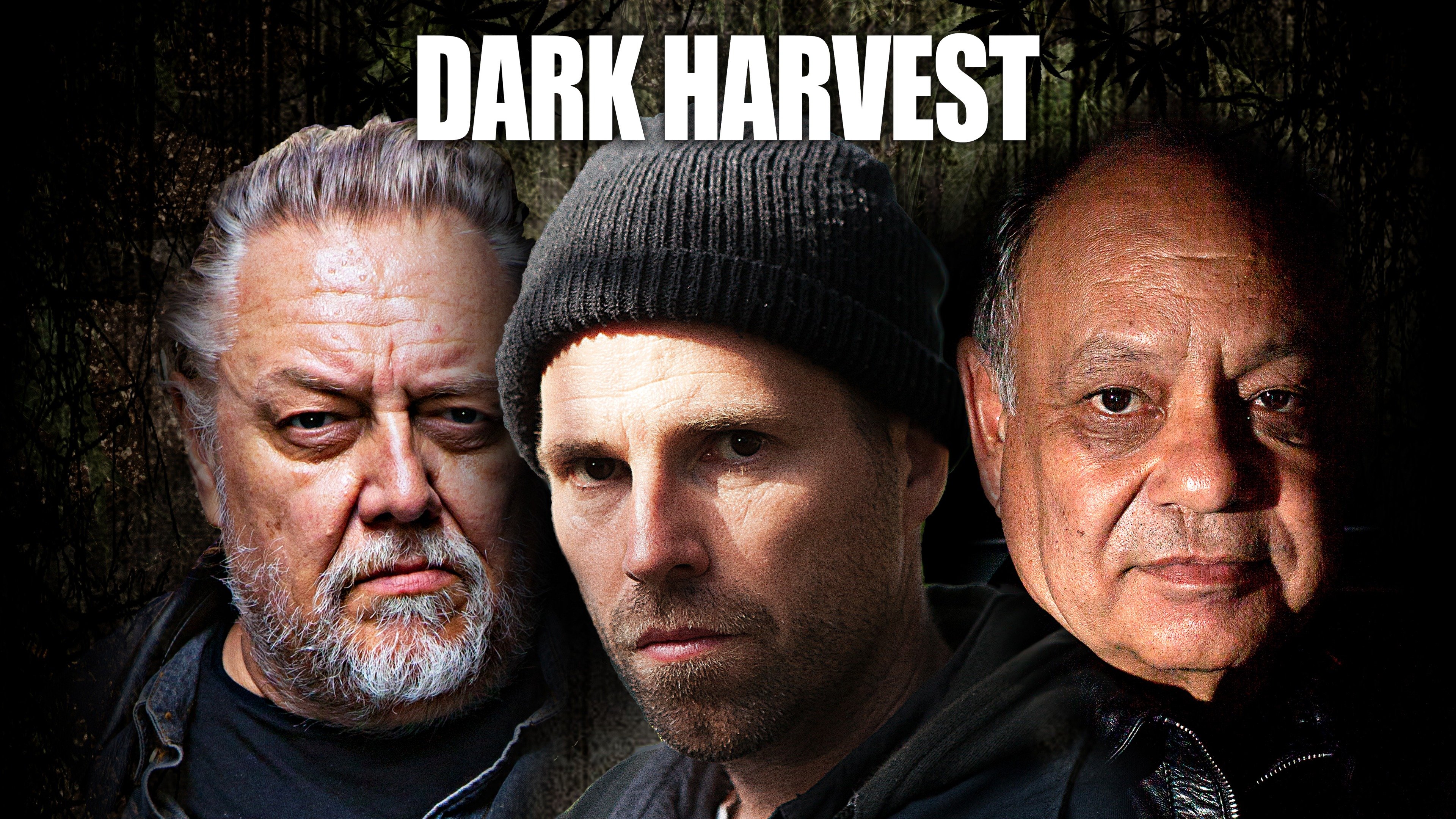 Watch Dark Harvest (2016) Full Movie Free Online - Plex