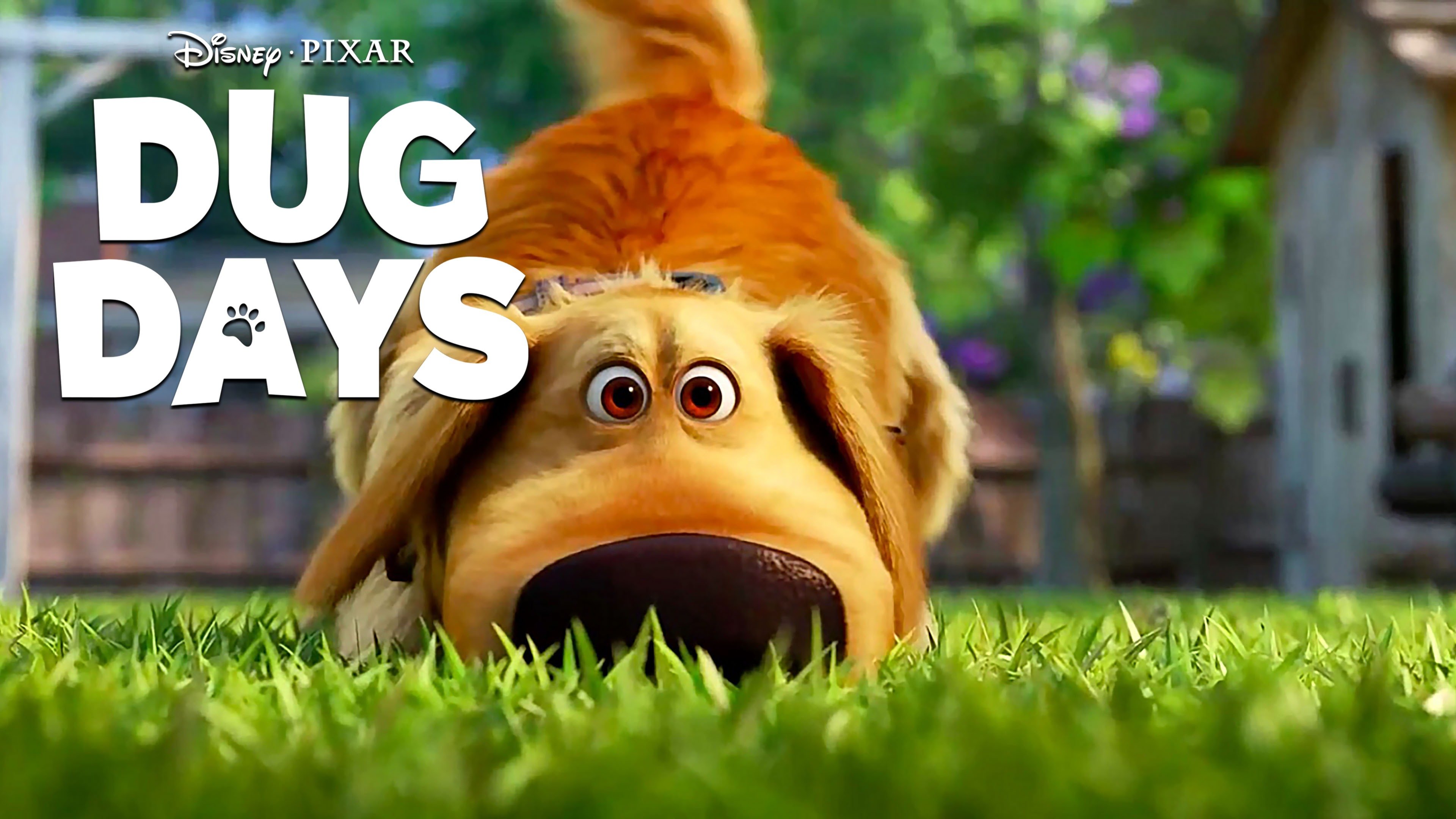 Watch Dug Days (2021) TV Series Online - Plex