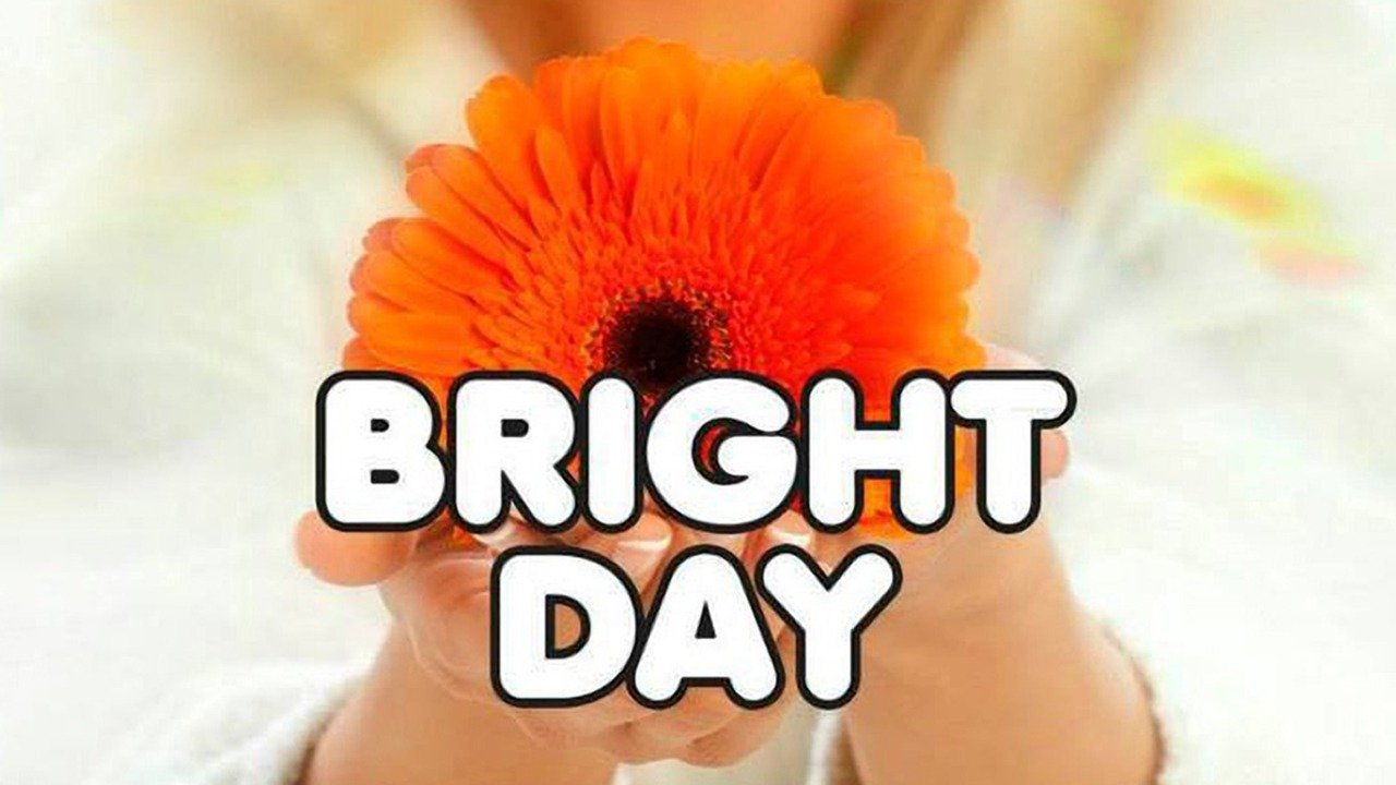 Watch Bright Day! (2012) Full Movie Free Online - Plex