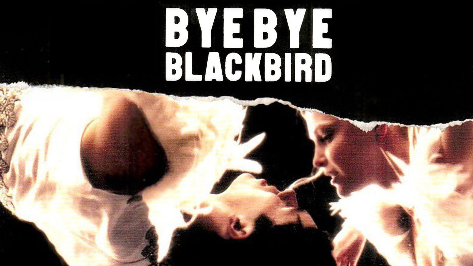 Bye Bye Blackbird (2005) - Plex