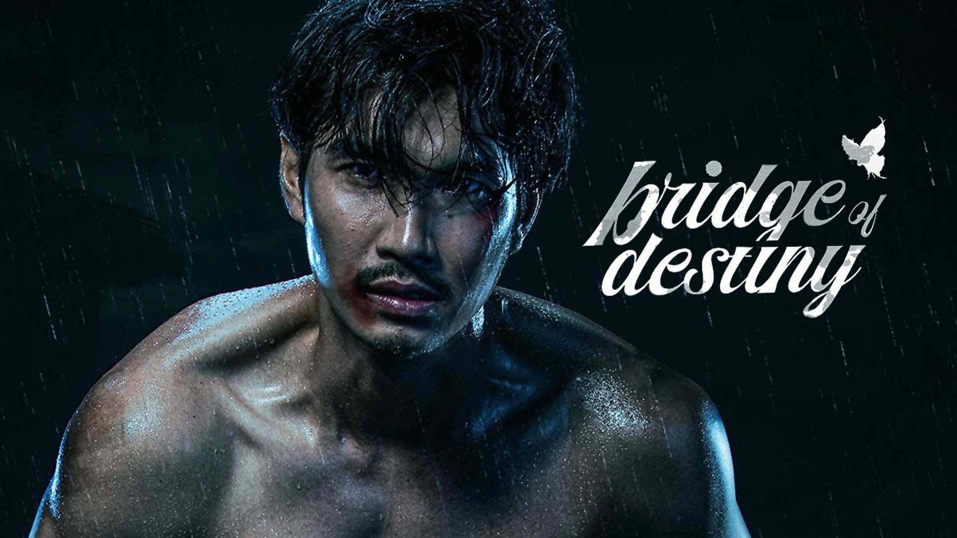 Watch Bridge of Destiny (2020) Full Movie Free Online - Plex