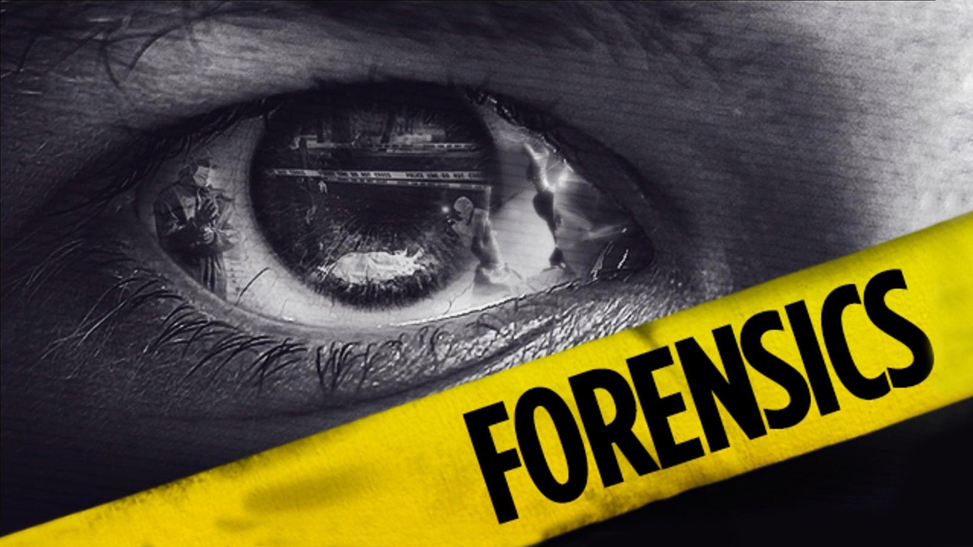 Watch Forensics NZ (2016) TV Series Free Online - Plex