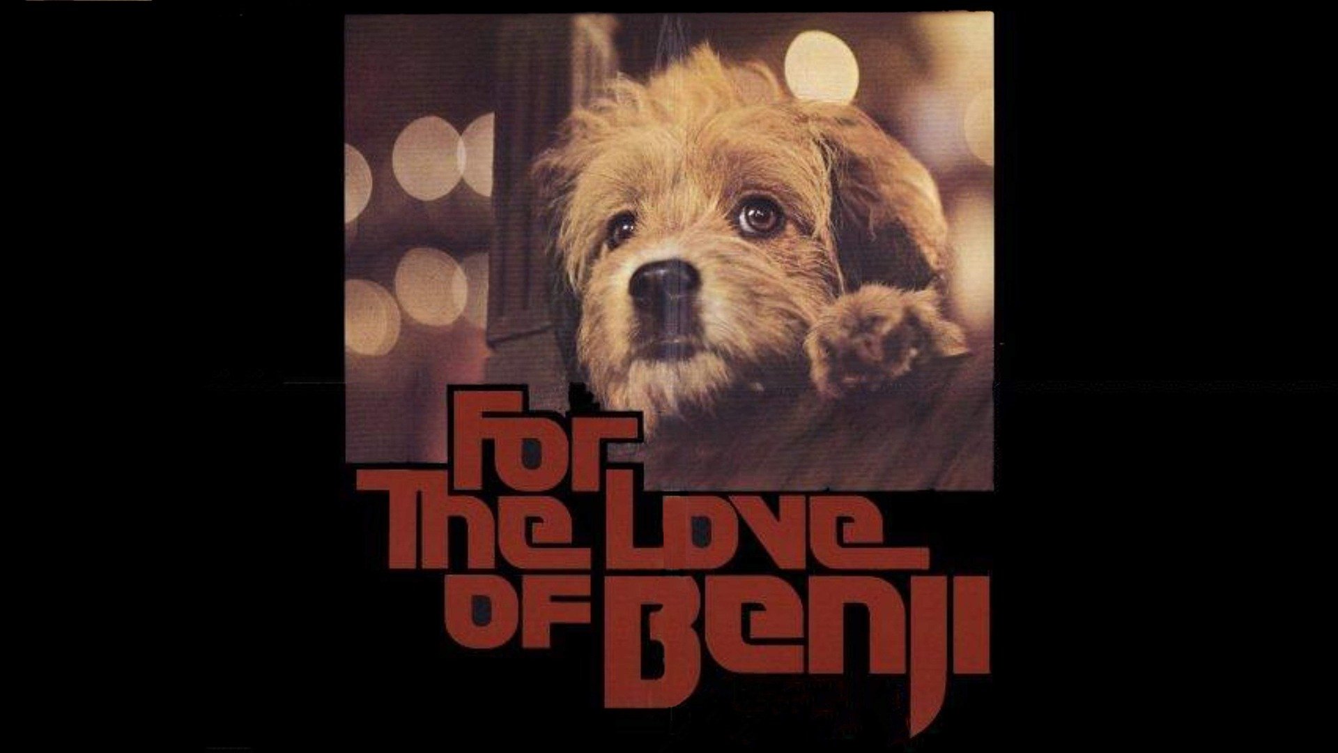 For the Love of Benji (1977) - Plex