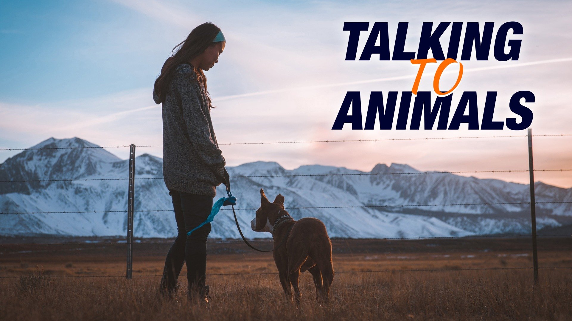 Watch Talking to Animals (2003) TV Series Free Online - Plex