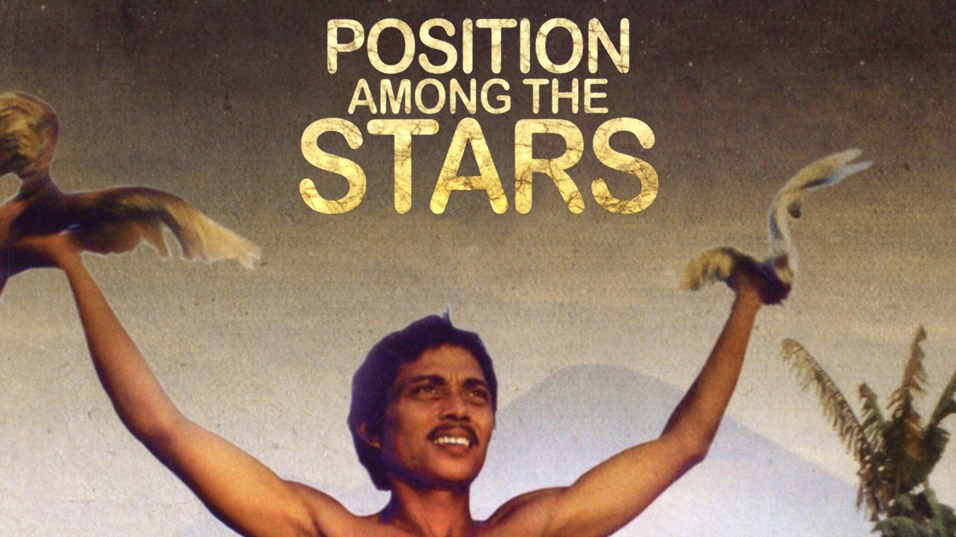 Position Among the Stars (2011) - Plex