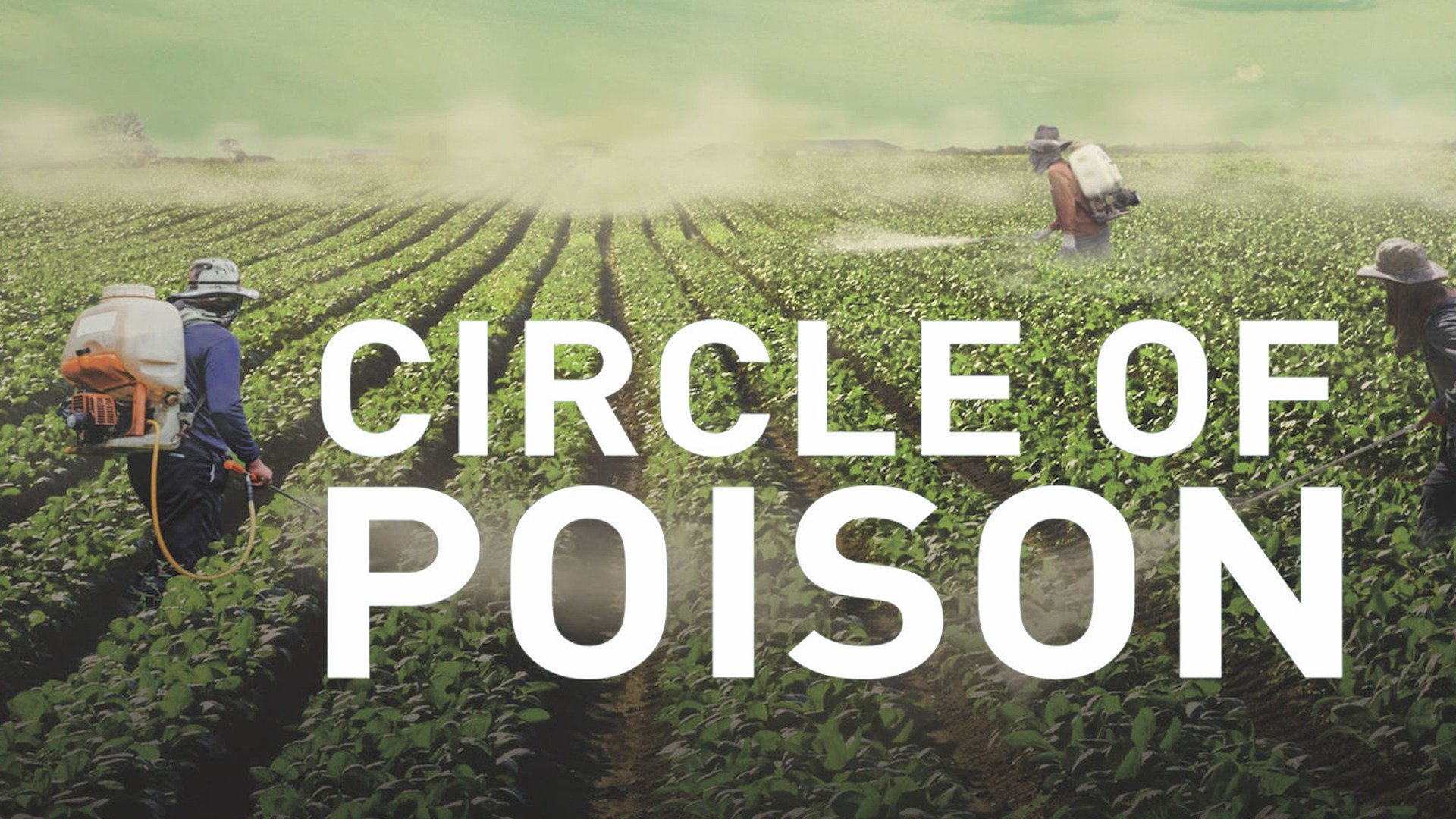 Watch Circle of Poison (2015) Full Movie Free Online - Plex