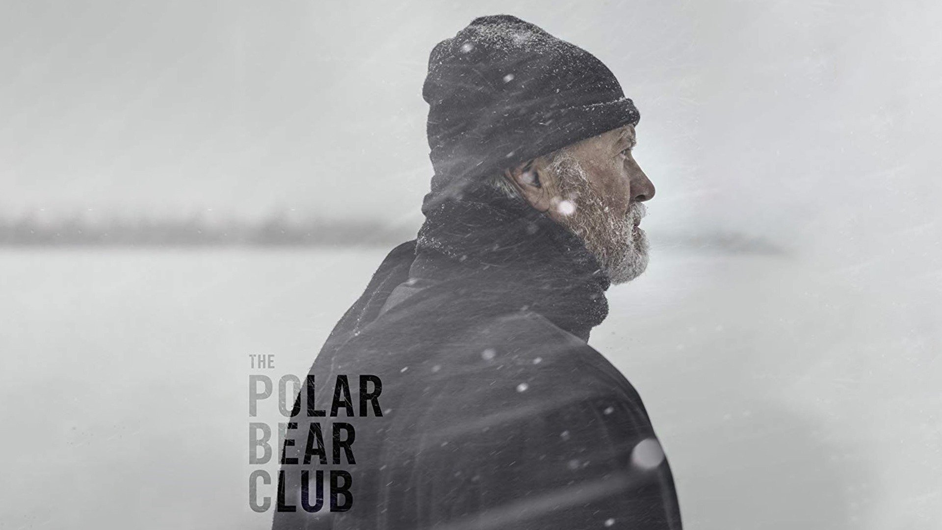 Watch The Polar Bear Club (2014) Full Movie Online - Plex