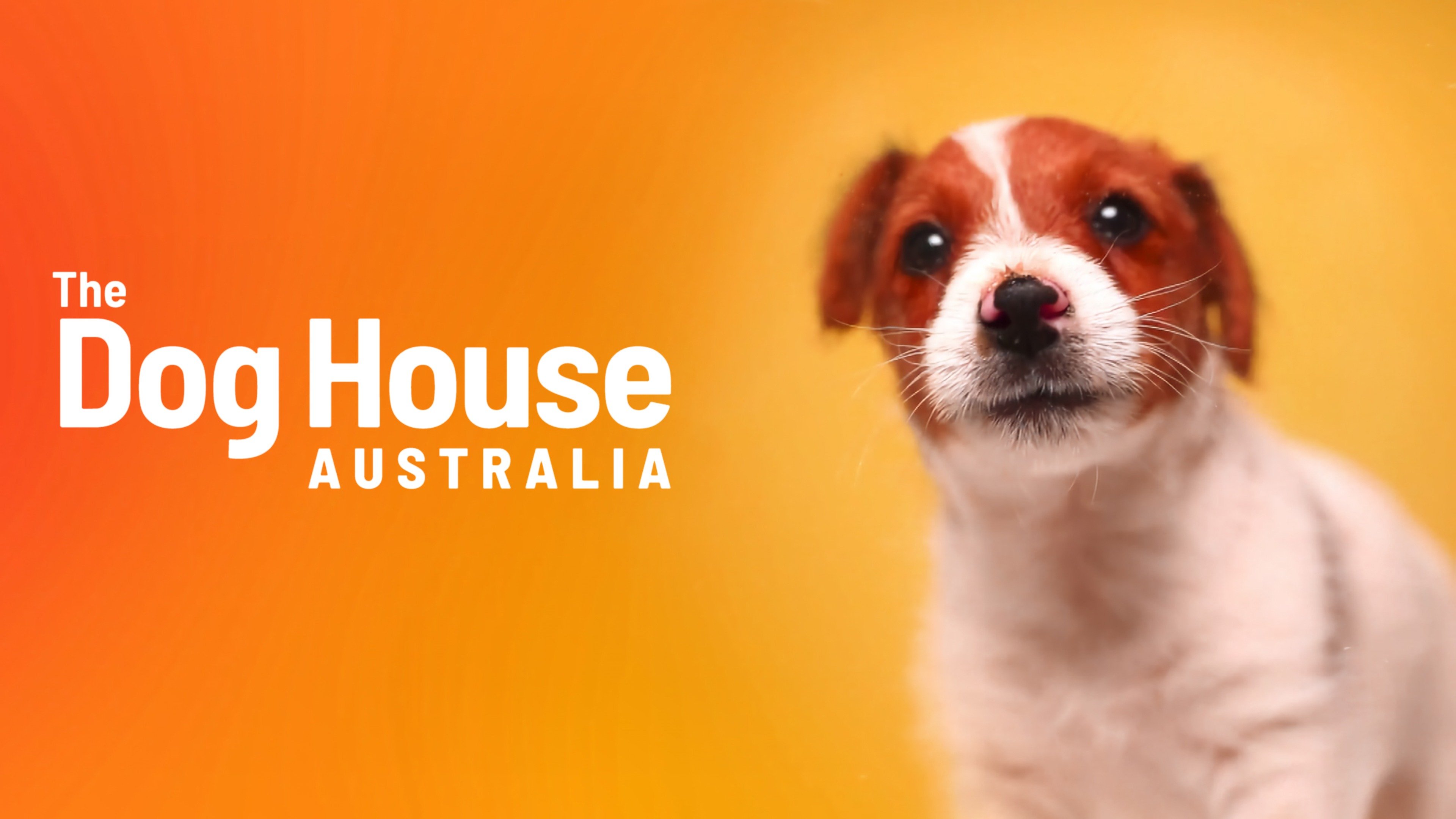 The Dog House Australia 2021 Plex