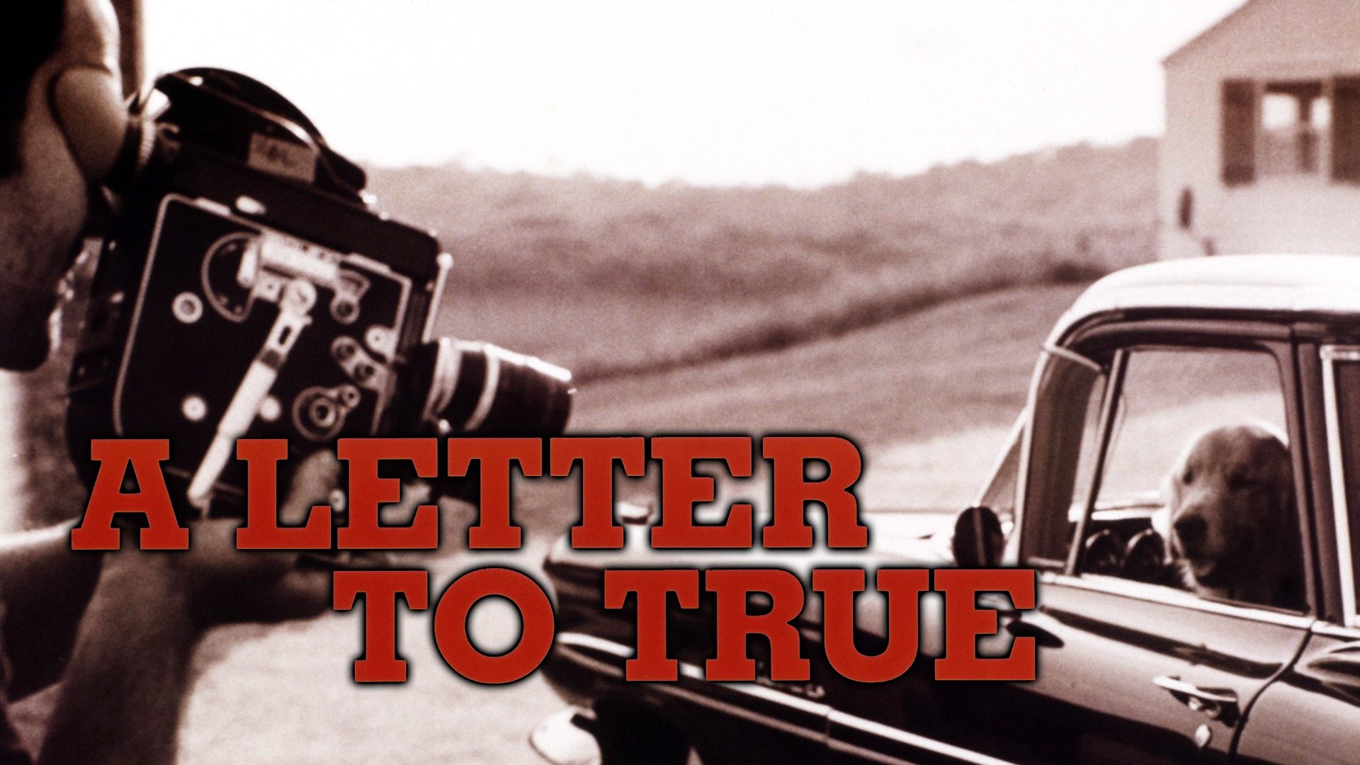 Watch A Letter to True (2008) Full Movie Free Online - Plex